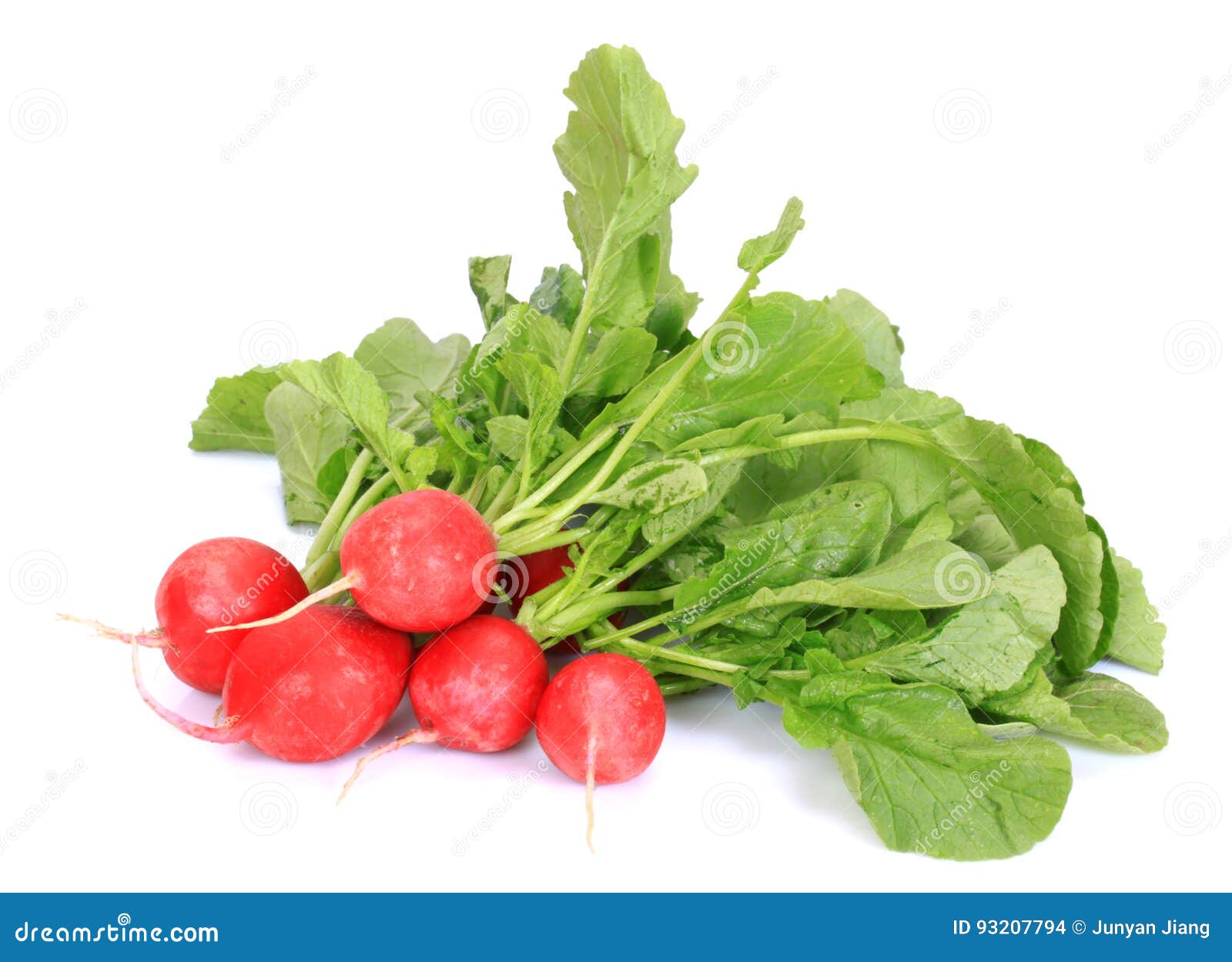 Radish fresh stock photo. Image of food, macrophotography - 93207794