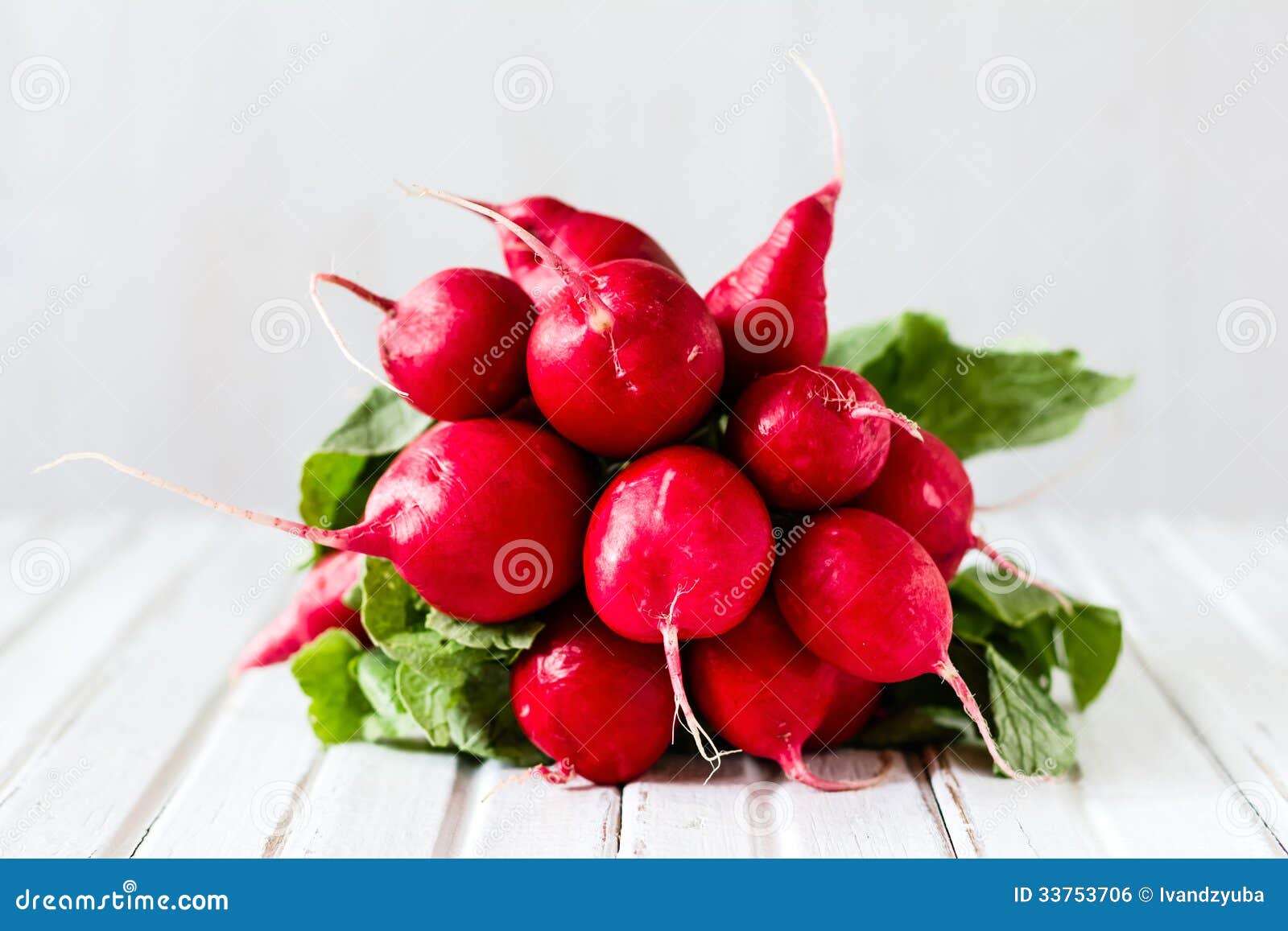 Radish stock photo. Image of nature, gardening, green - 33753706