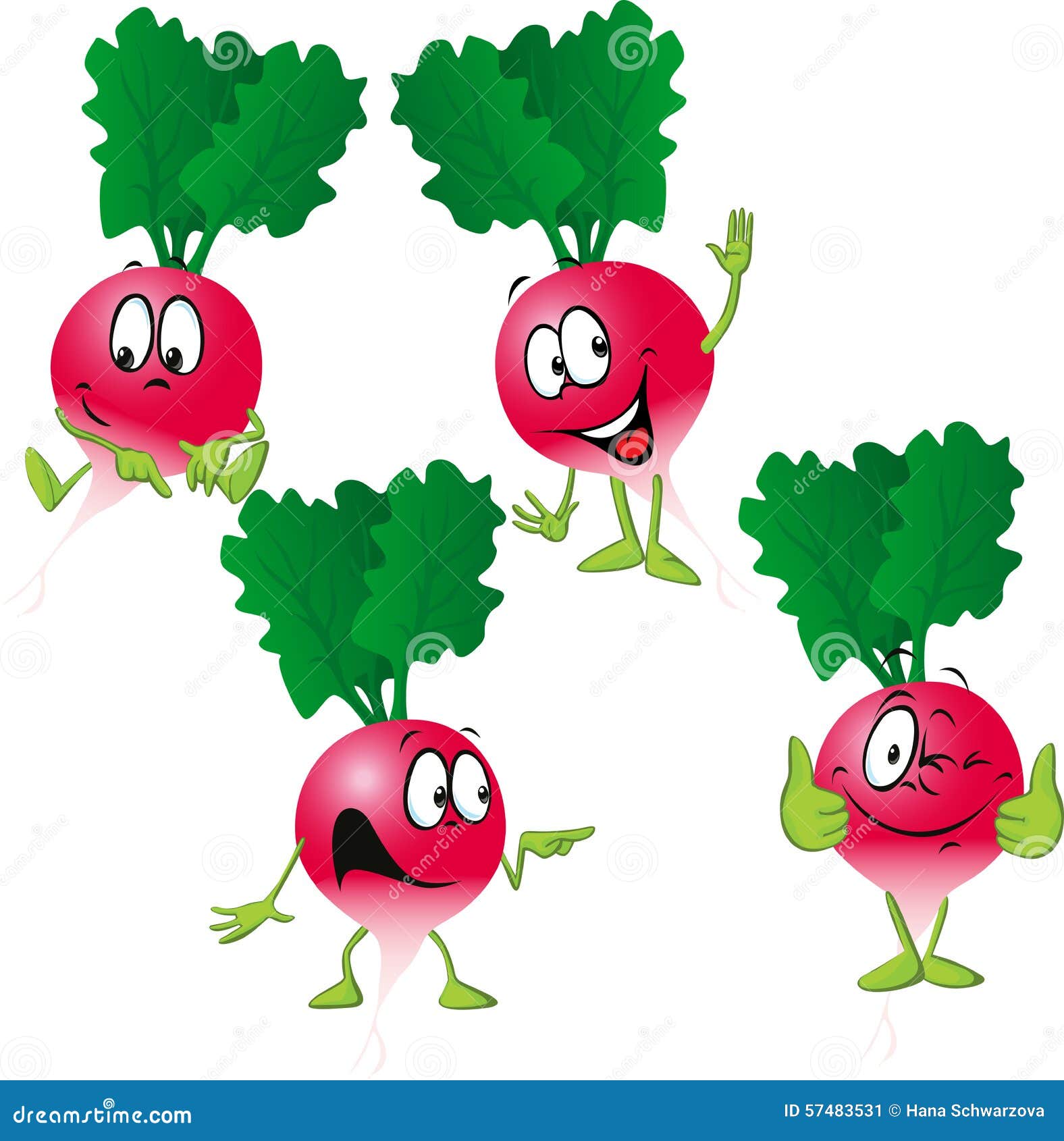 Radish - Funny Vector Cartoon | CartoonDealer.com #57483531