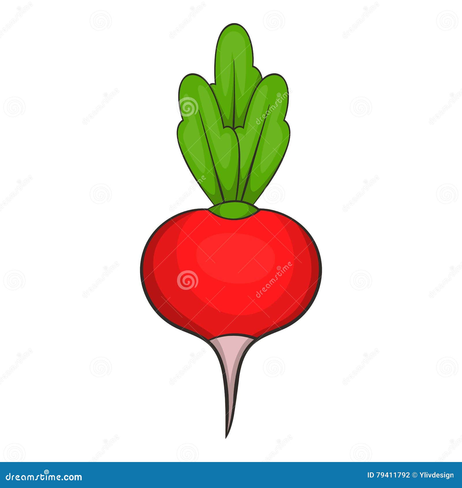 Radish icon, cartoon style stock vector. Illustration of nutrition ...