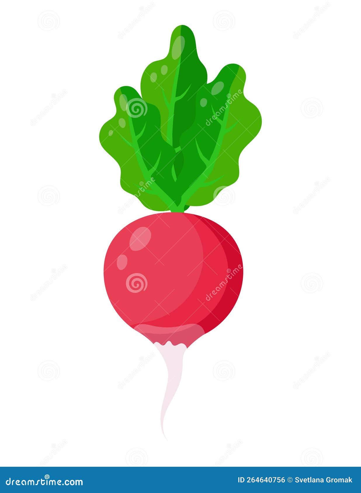 Radishes Vector Illustration Hand Drawn Vegetable Cartoon Art ...
