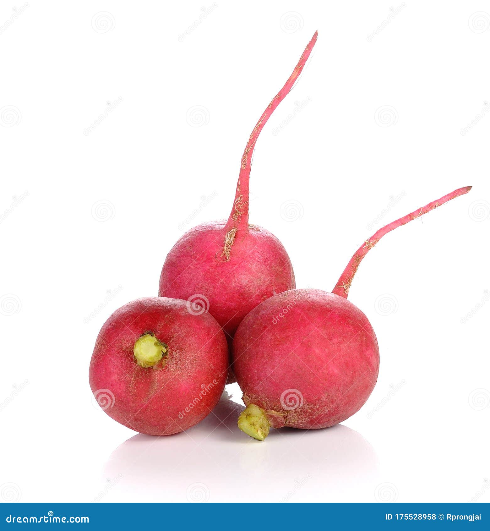Radish Isolated on White Background Stock Photo - Image of beautiful ...