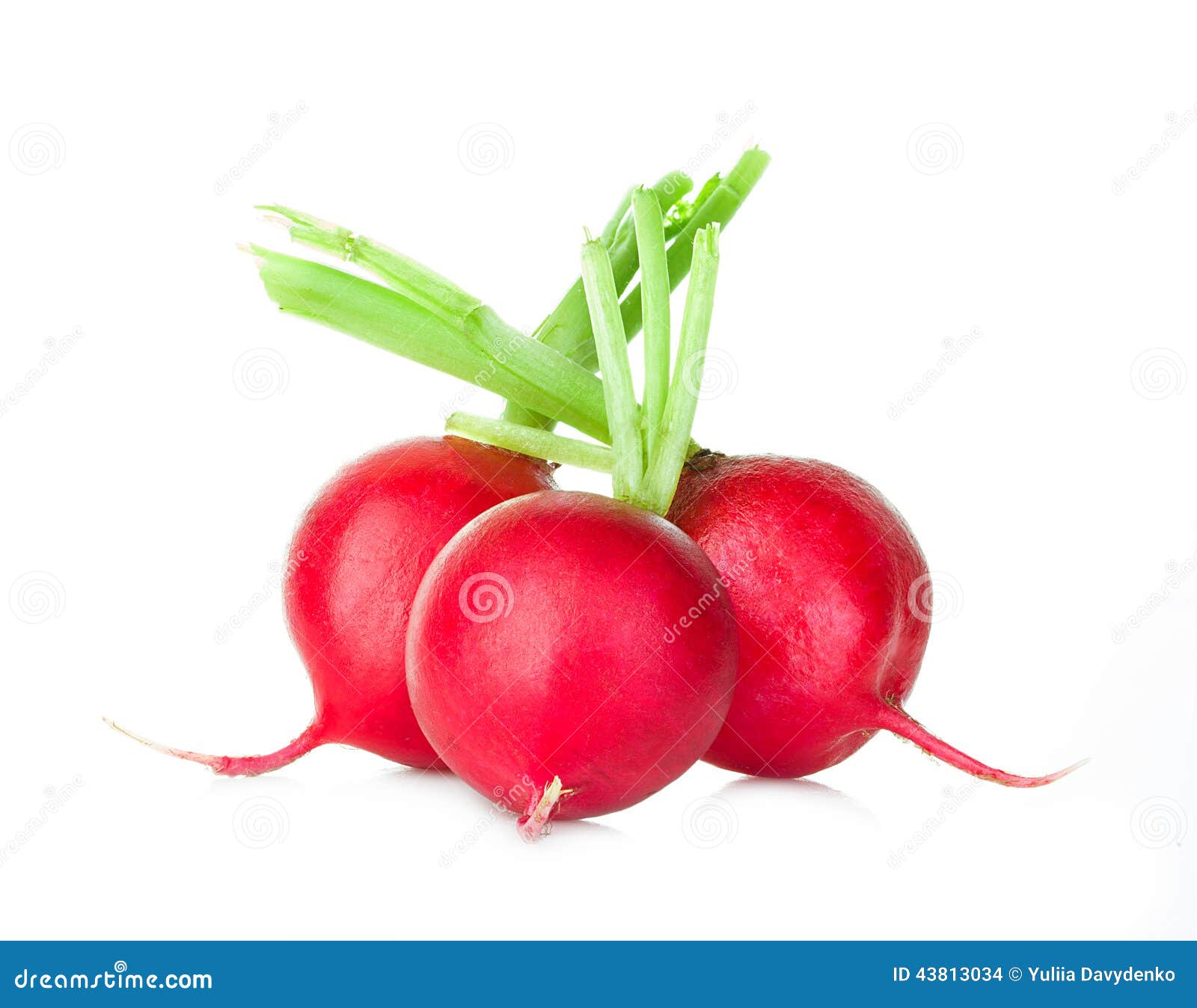 Radish isolated on white stock photo. Image of leaf, clean - 43813034