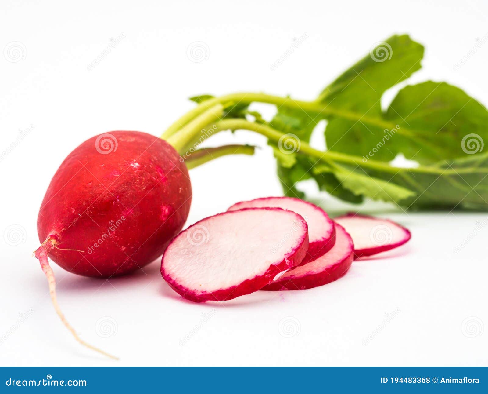 Radish Isolated on White Background Stock Photo - Image of radish ...