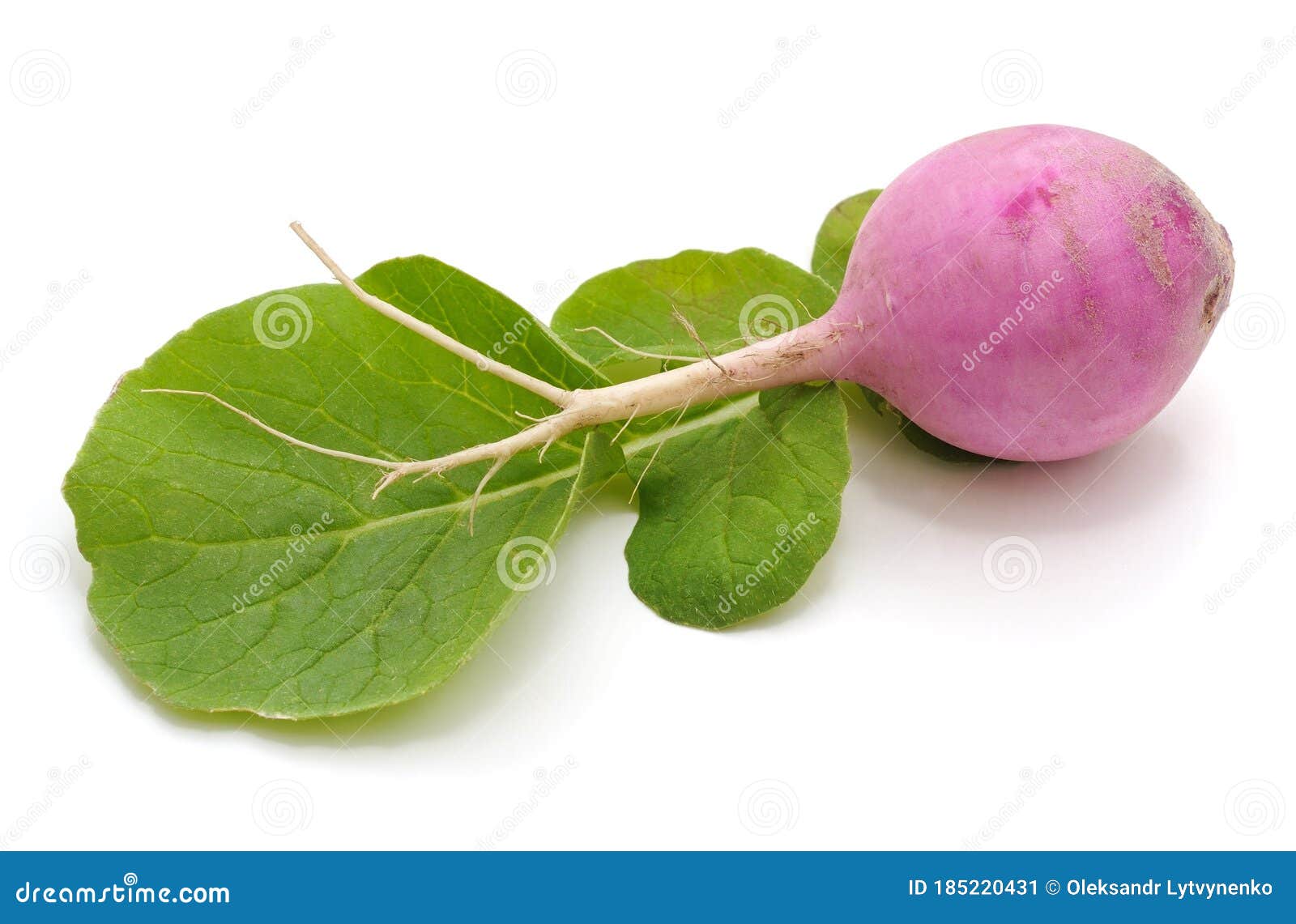 Radish and leaves stock image. Image of plant, organic - 185220431