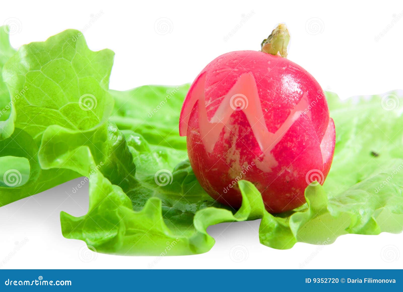 Radish with lettuce stock photo. Image of foodstuff, agriculture - 9352720