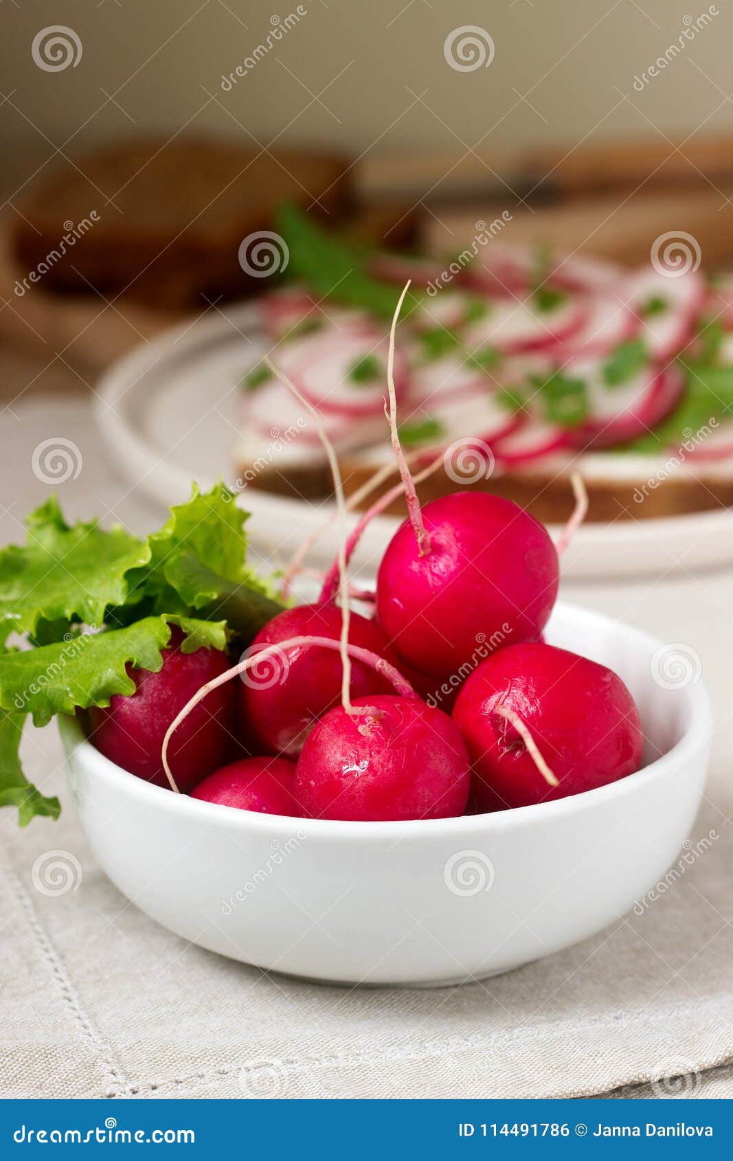Radish and Lettuce Leaves on a Background of Sandwiches and Slices of ...