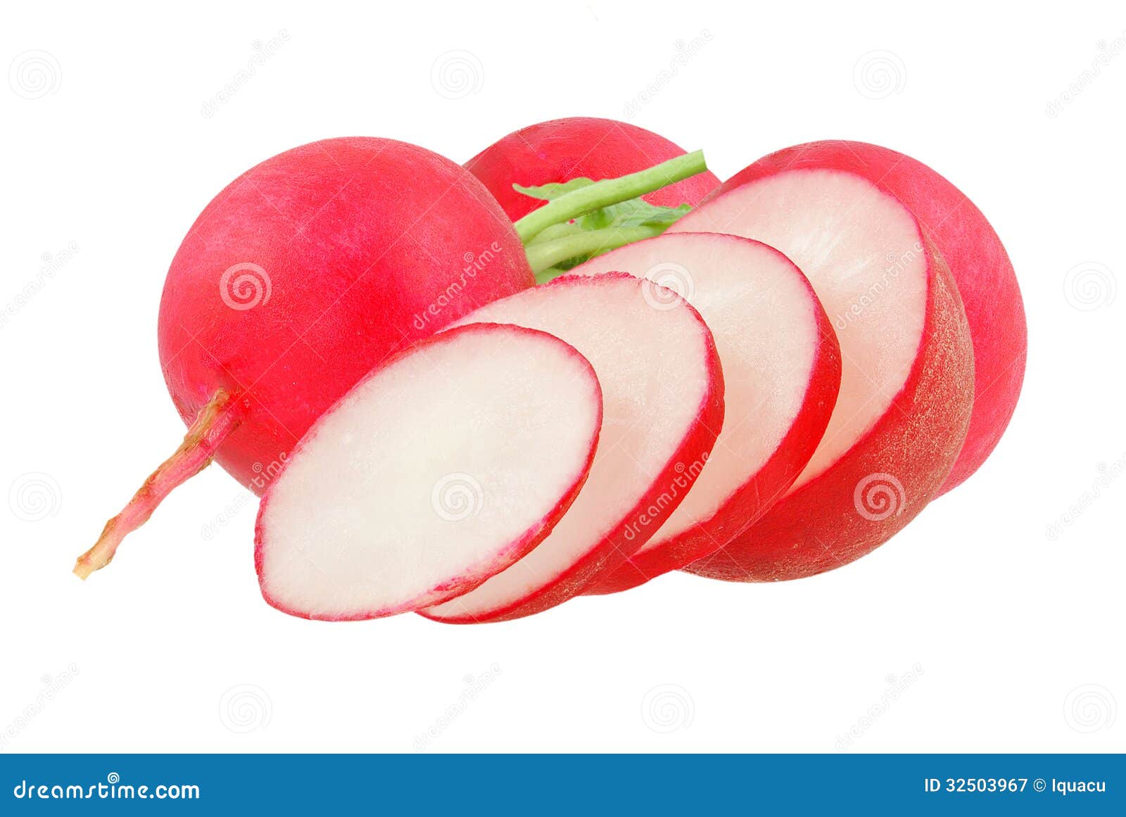 Radish stock image. Image of fresh, isolated, white, green - 32503967