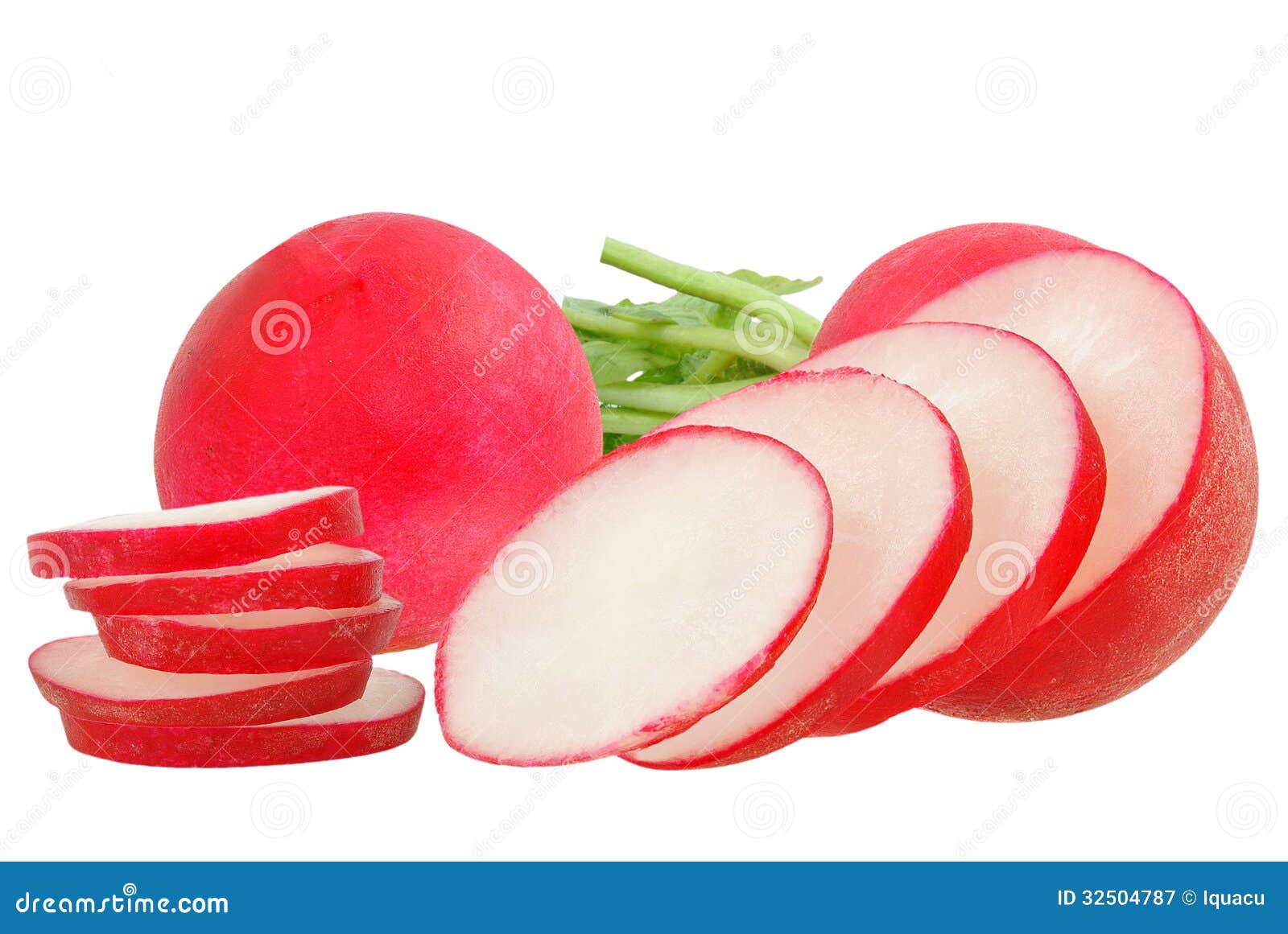 Radish stock image. Image of plant, nature, small, fruit - 32504787