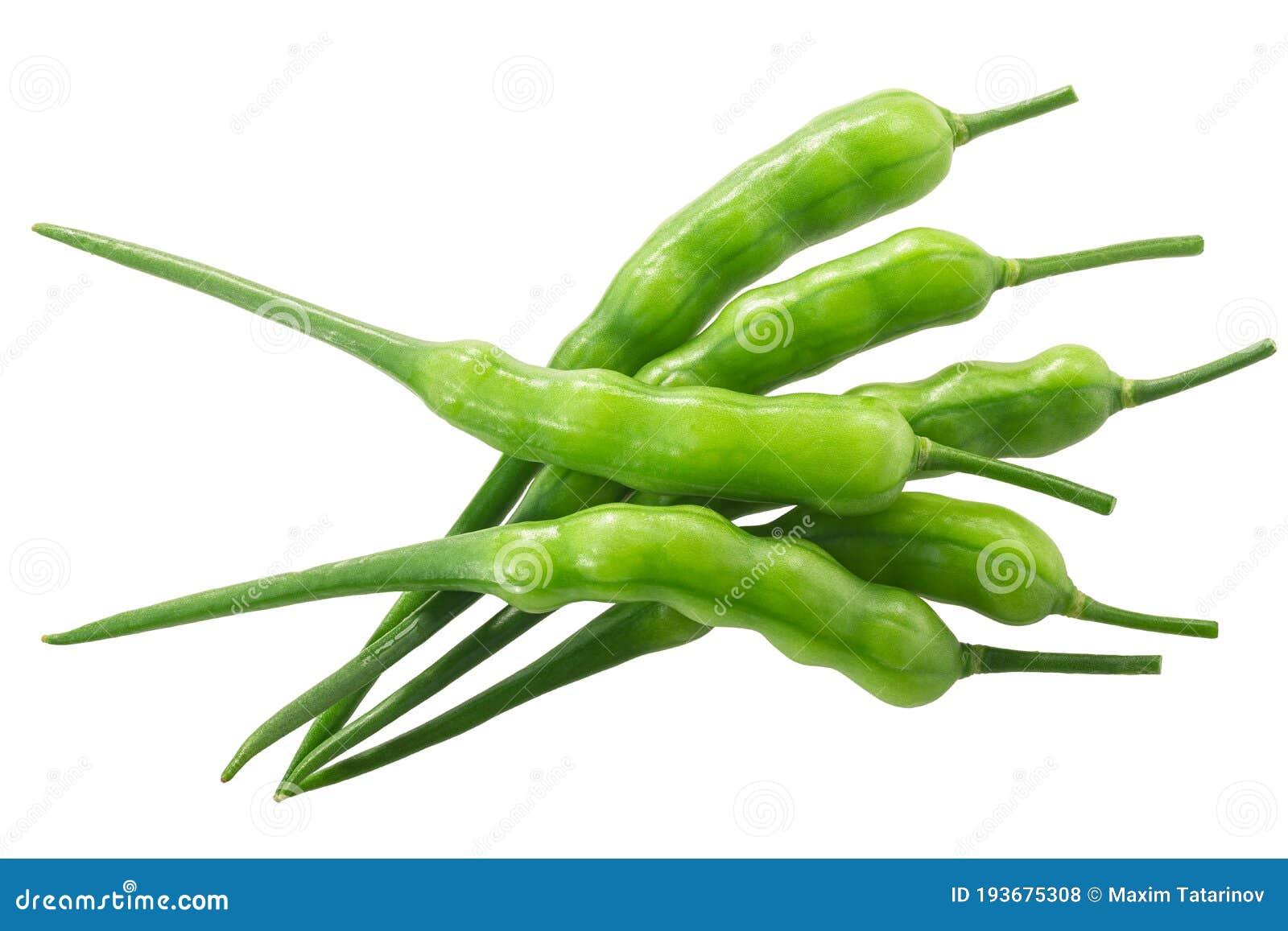 Radish Pods Raphanus Sativus Silique Isolated on White Stock Photo ...