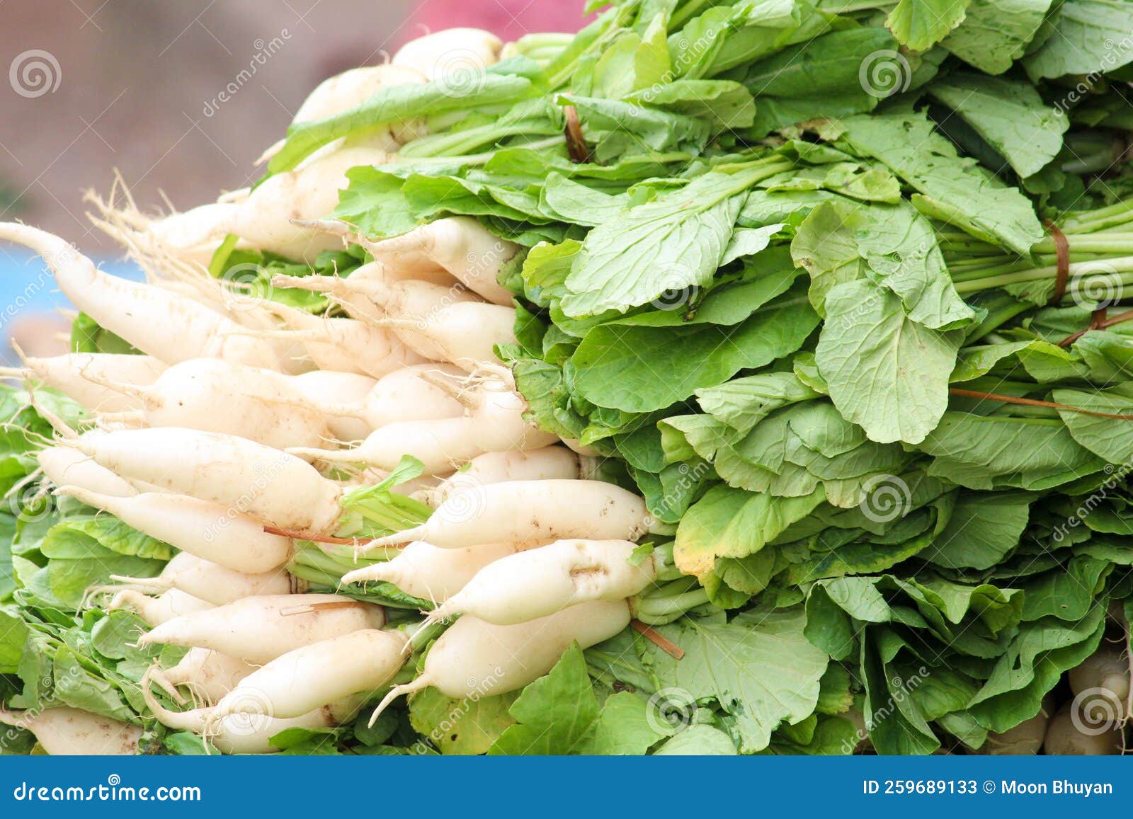 The radish stock image. Image of fruit, cuisine, herb - 259689133