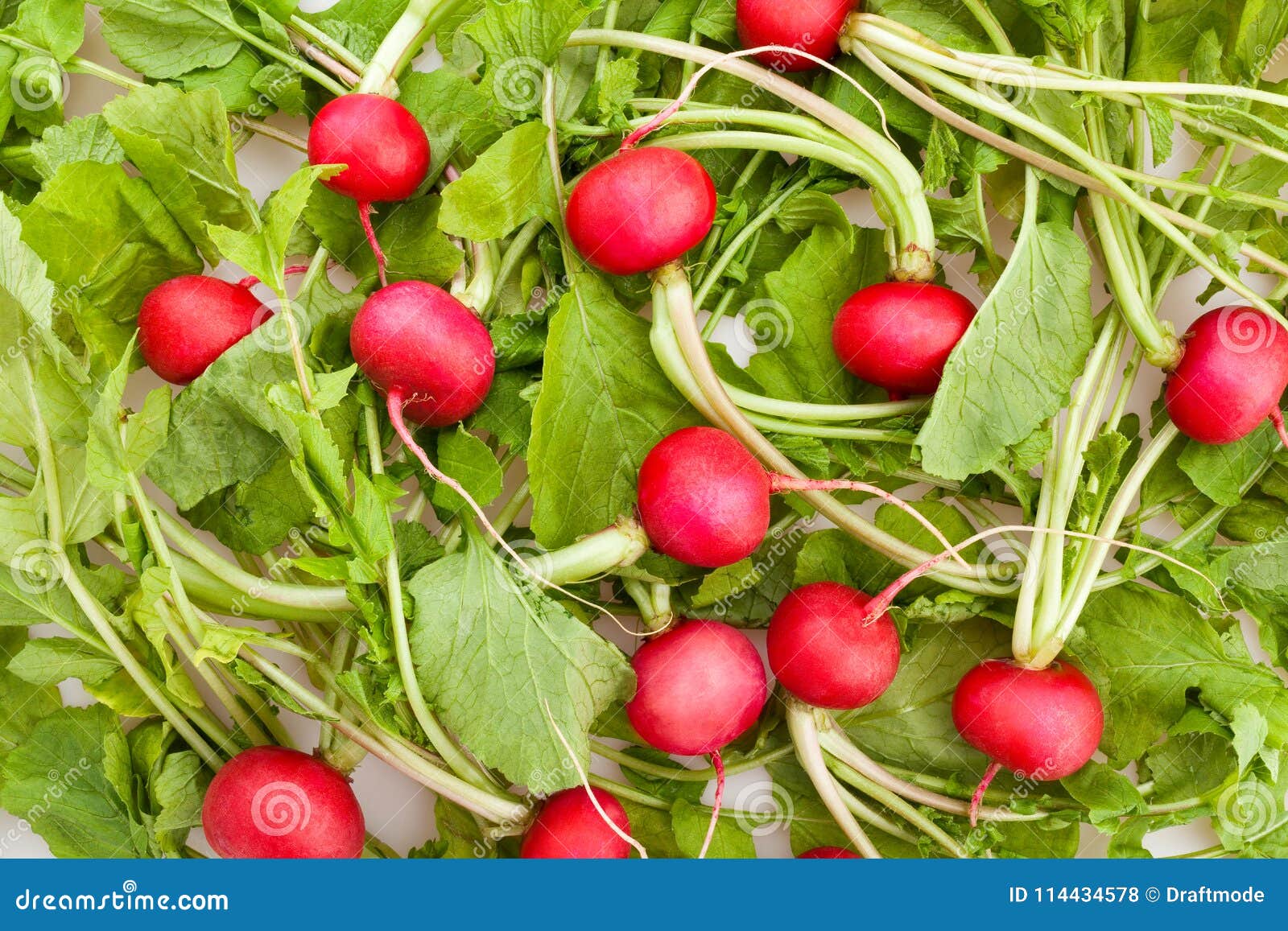 Radish stock photo. Image of nutrient, studio, nutrition - 114434578