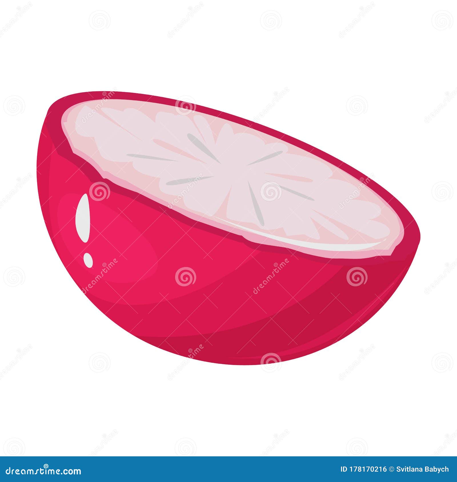Radish Slice Logo. Round Linear Logo Of Radish Cartoon Vector ...