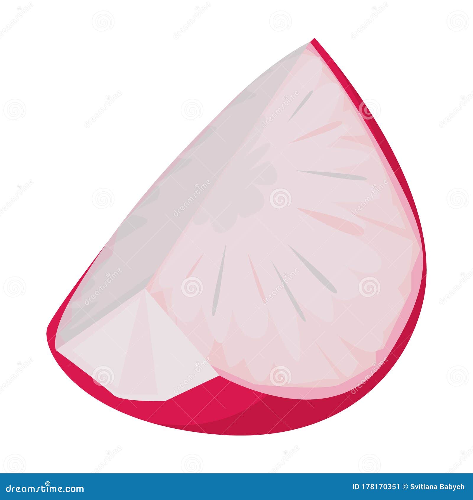 Radish Slice Logo. Round Linear Logo Of Radish Cartoon Vector ...
