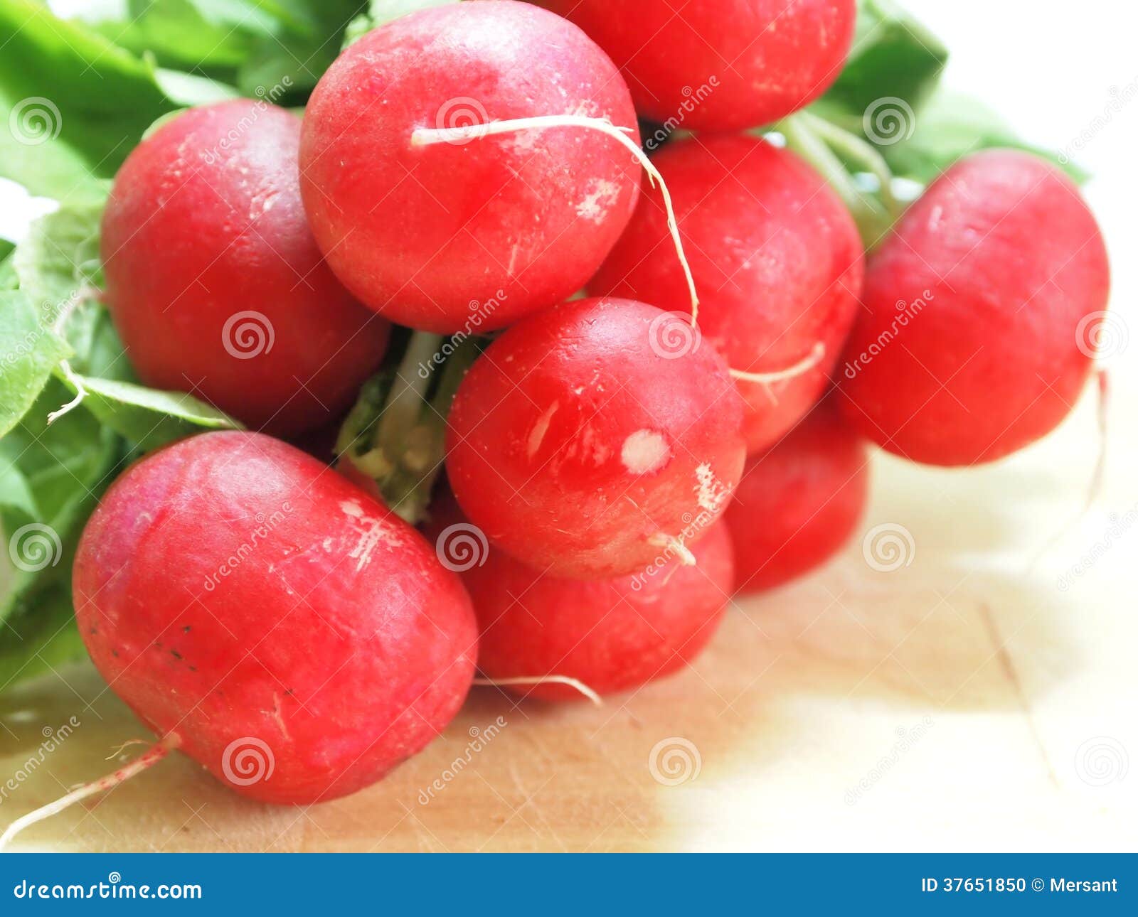 Radish stock photo. Image of eating, gardening, natural - 37651850