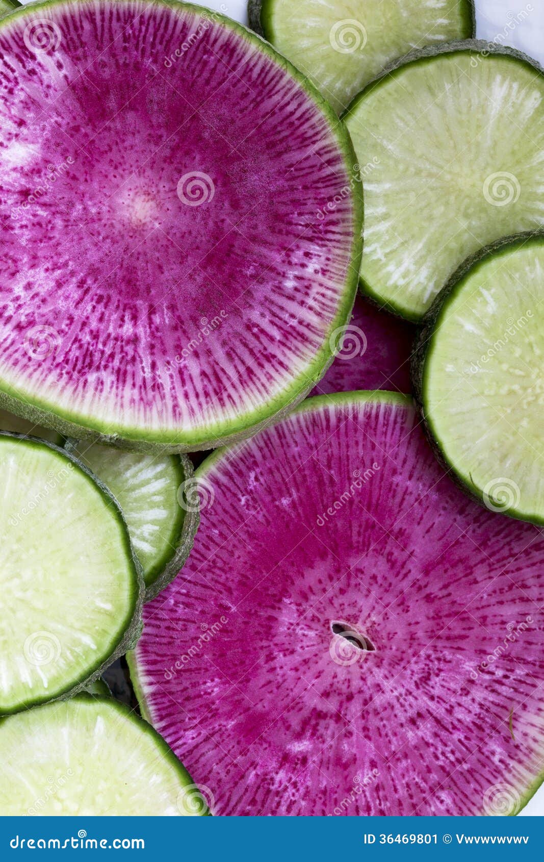 Radish stock image. Image of fresh, radish, nature, circles - 36469801