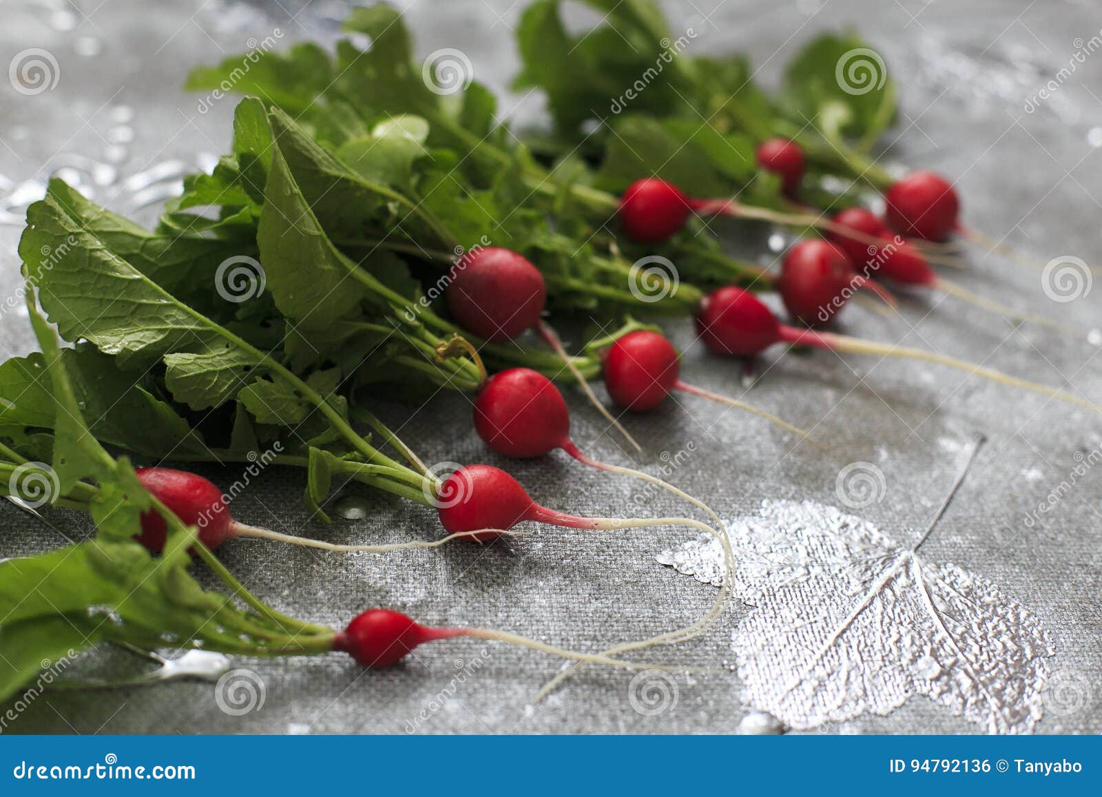 Vegatable Green Useful Stock Photos - Free & Royalty-Free Stock Photos ...