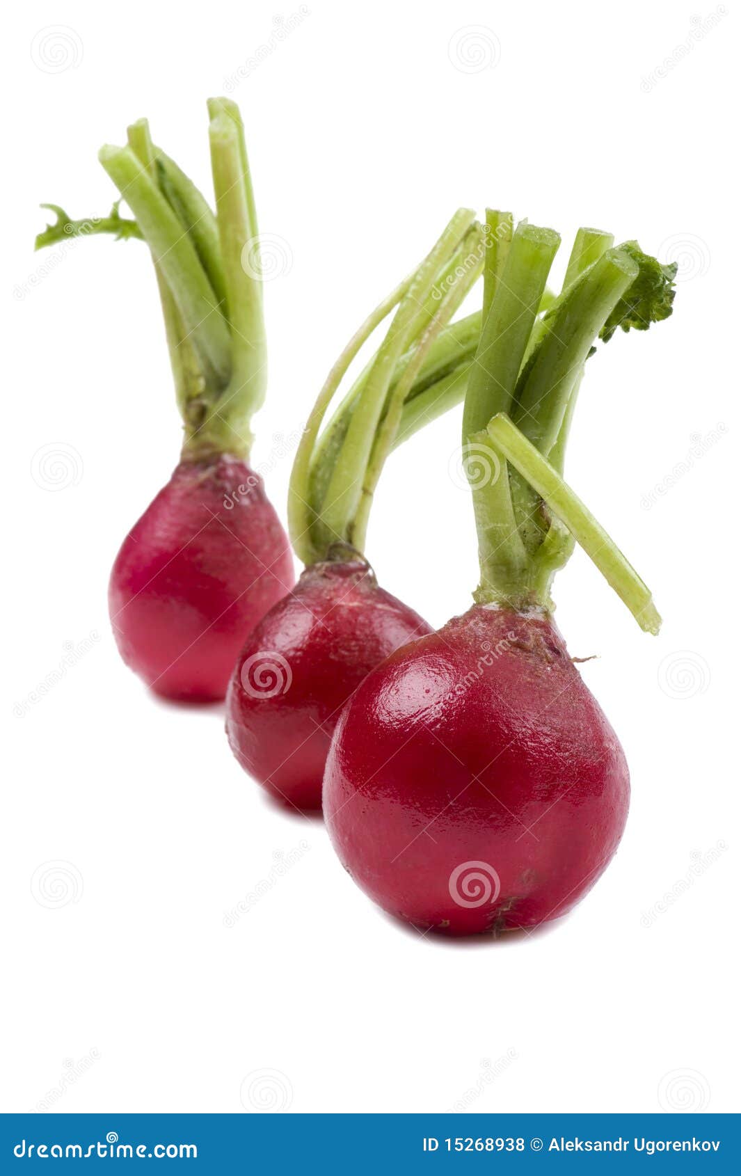 Radish on white background stock photo. Image of plant - 15268938