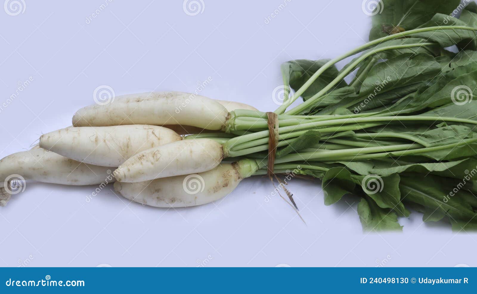 Radish on a White Background Stock Photo - Image of oriental, cooking ...