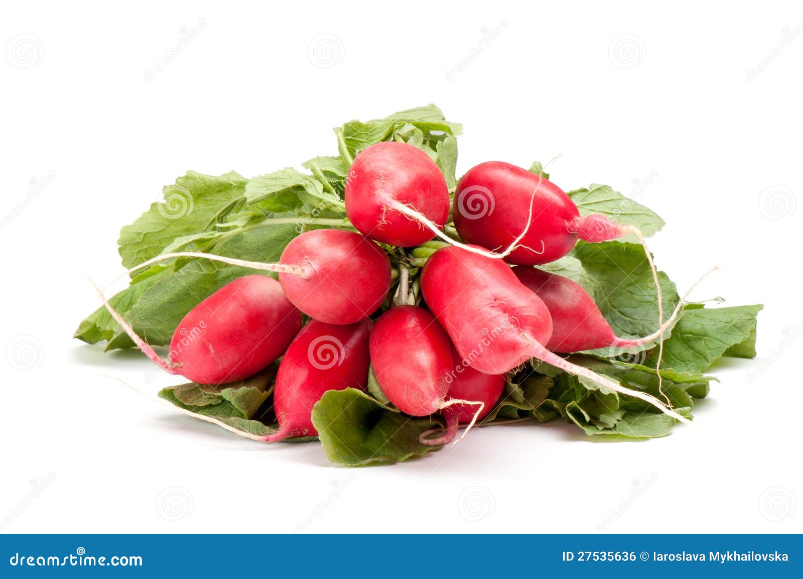 Radish on a White Background Stock Photo - Image of fruit, health: 27535636