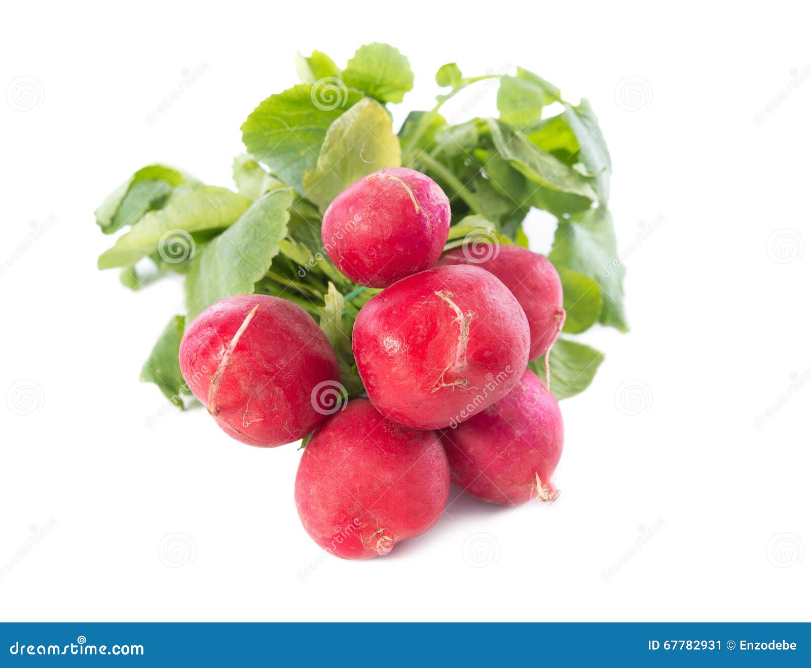 Radish on white background stock image. Image of leaf - 67782931