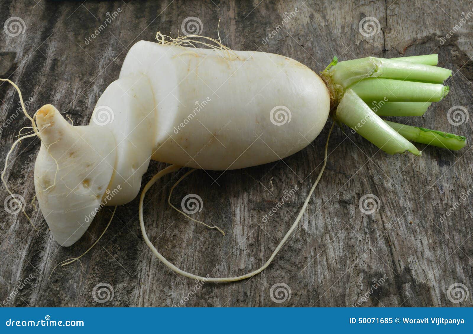 Radish white stock image. Image of leaves, ates, eating - 50071685