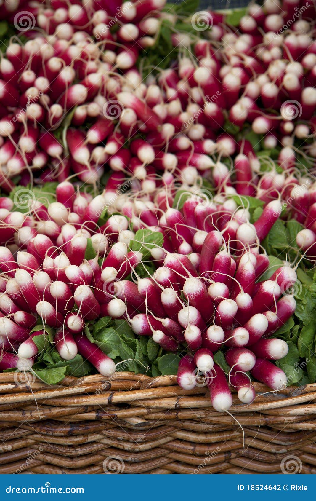 Radishes in a basket stock photo. Image of bunch, plant - 18524642