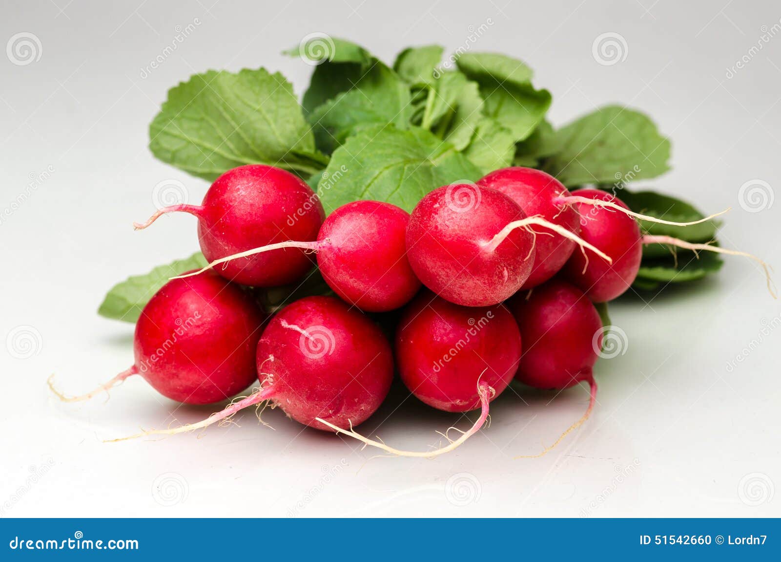 Radishes stock photo. Image of organic, green, food, vibrant - 51542660