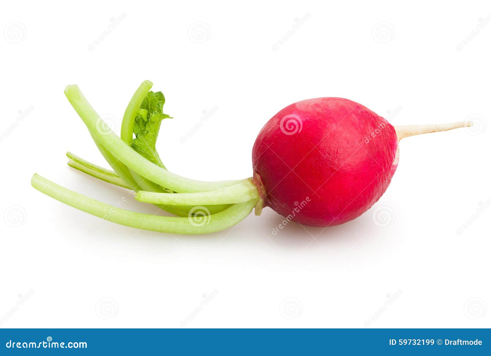 Radishes stock image. Image of vegetarian, ingredient - 59732199