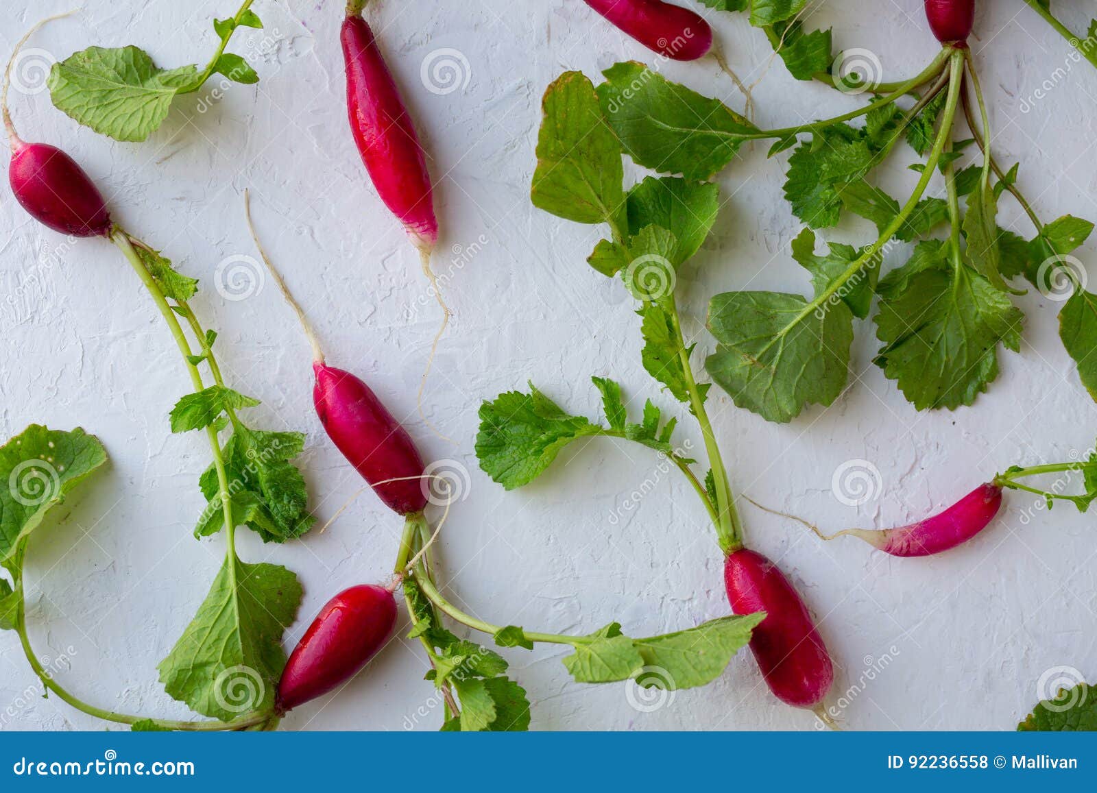 Radishes on a White Background Stock Photo - Image of nutrition, garden ...