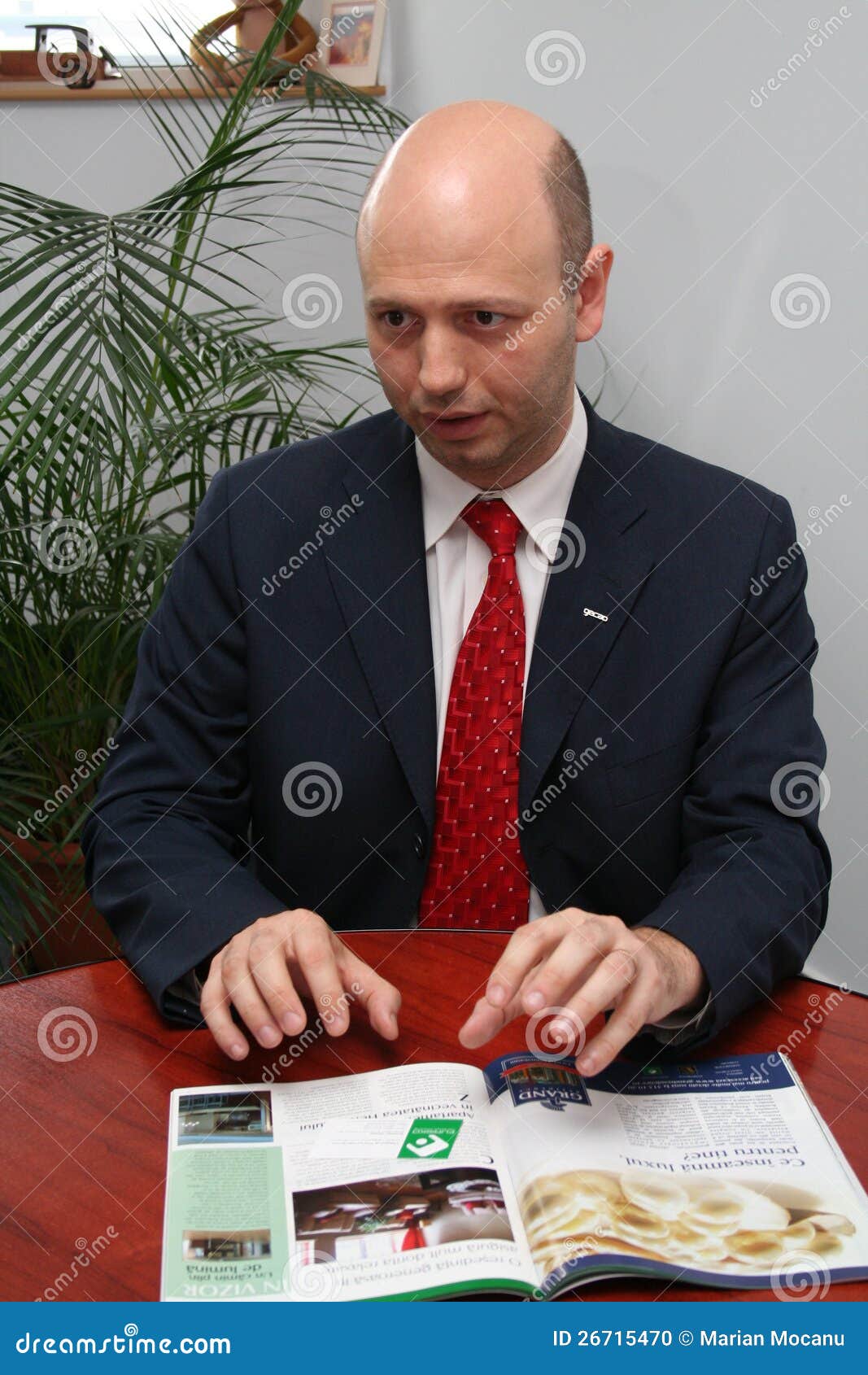 Radu Georgescu editorial image. Image of development - 26715470