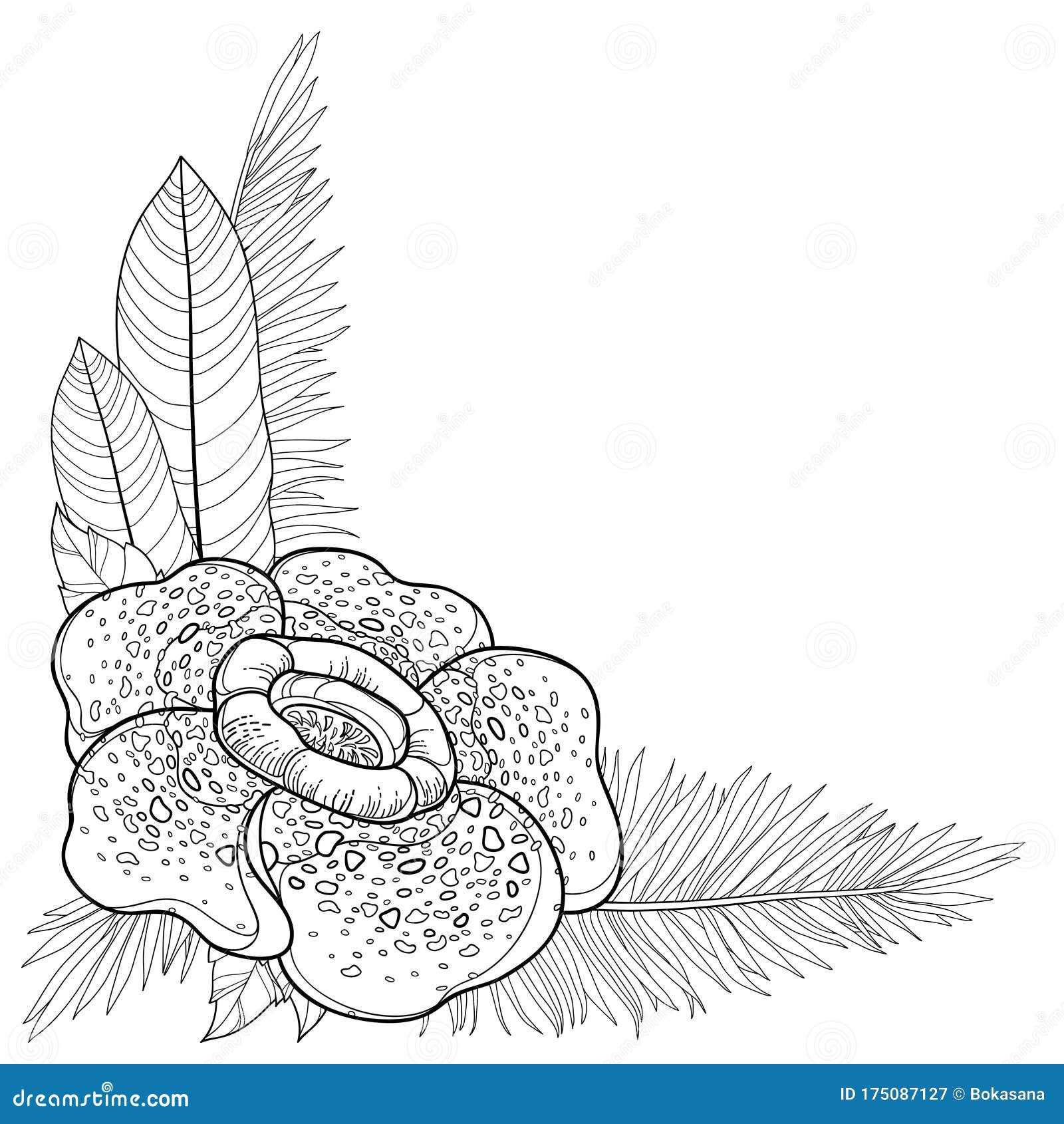 Rafflesia Tropical Flower Vector Isolated Element. Exotic Floral ...