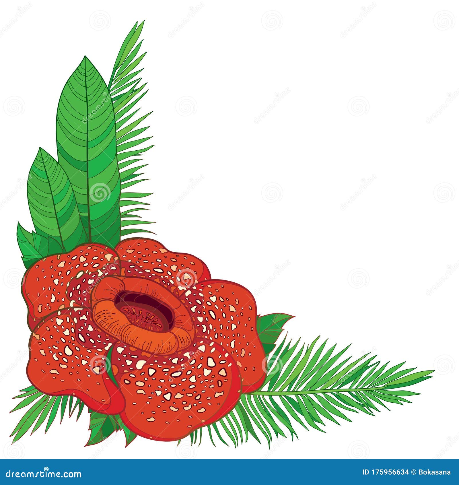 Rafflesia Tropical Flower Vector Isolated Element. Exotic Floral ...