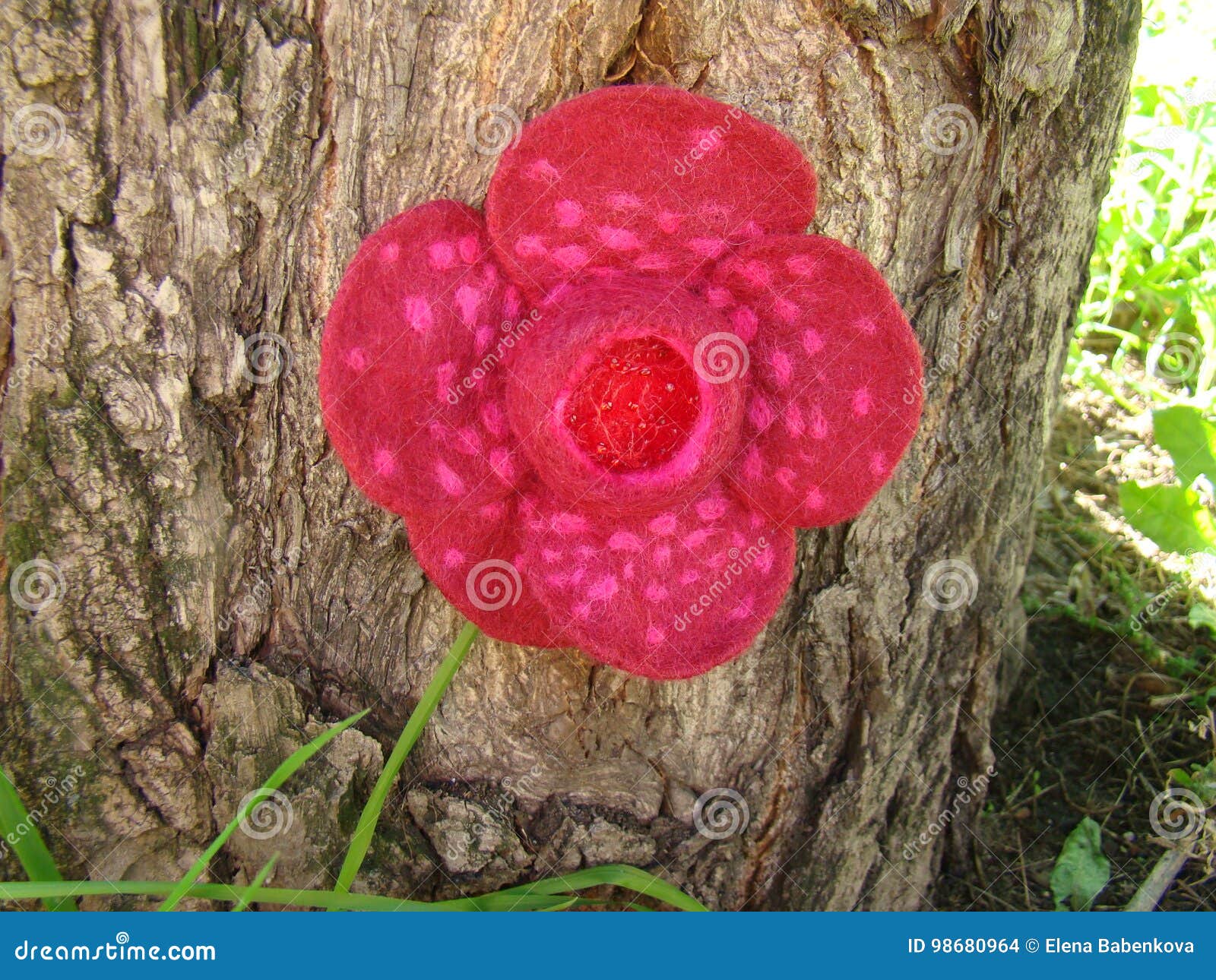 Rafflesia Tree