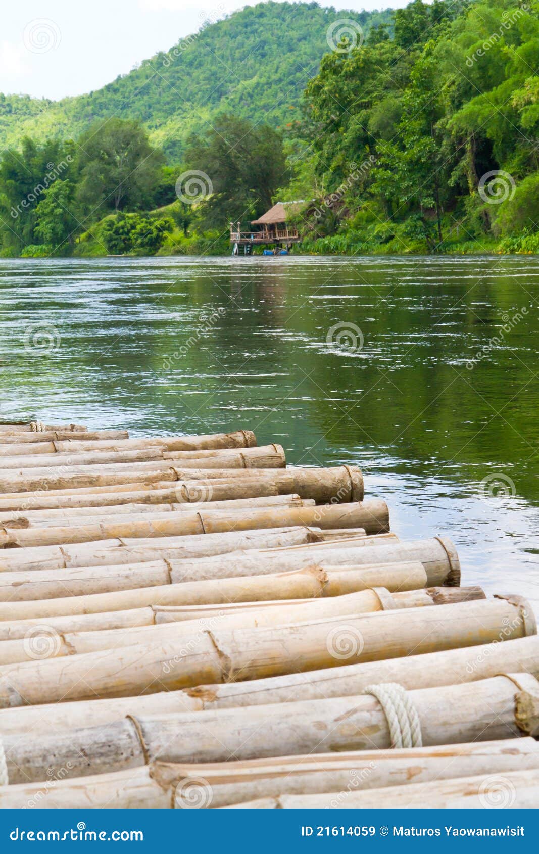 Raft stock image. Image of fishing, forest, shore, long - 21614059