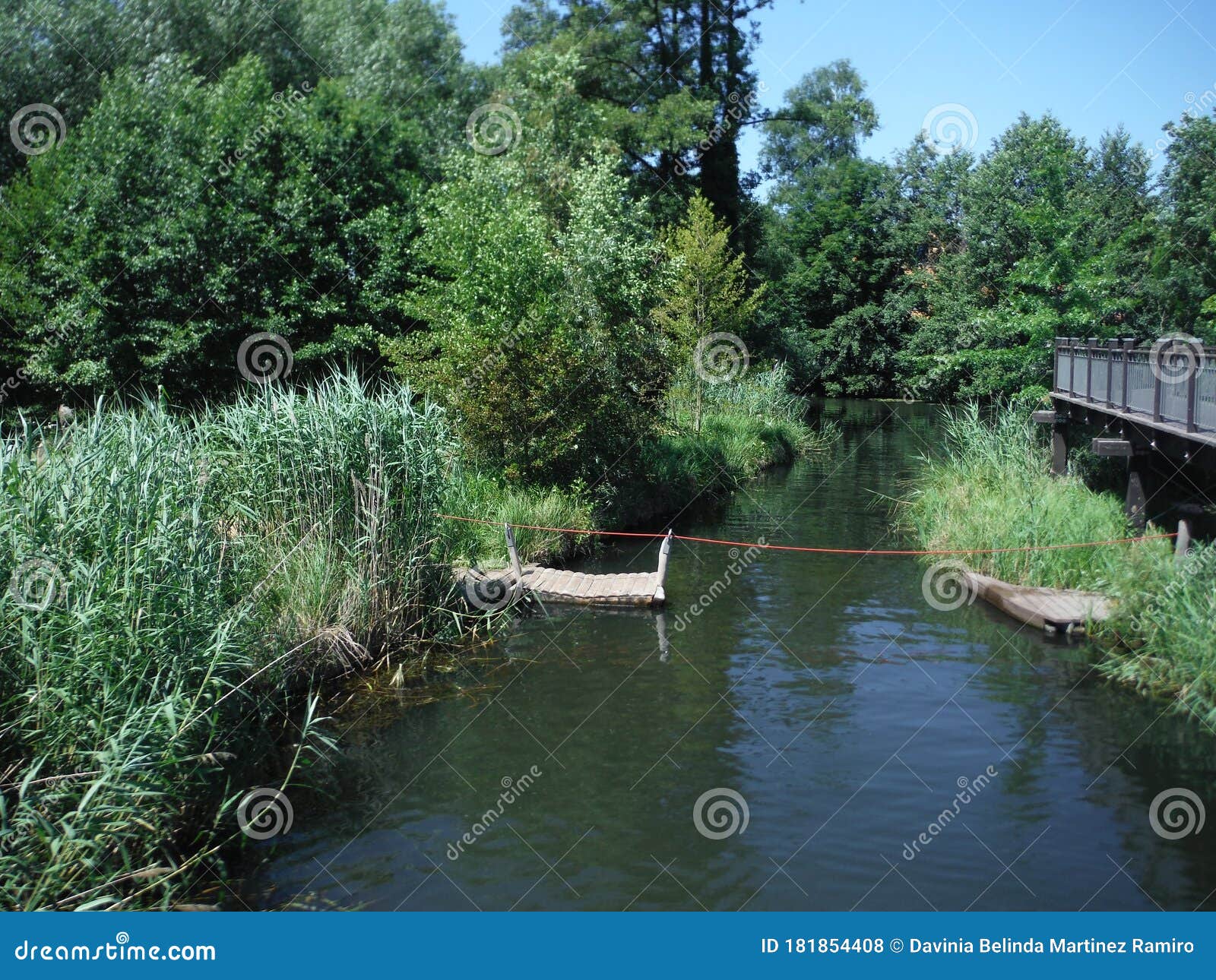 A Raft on the Beautiful River in Spreewald Stock Photo - Image of ...