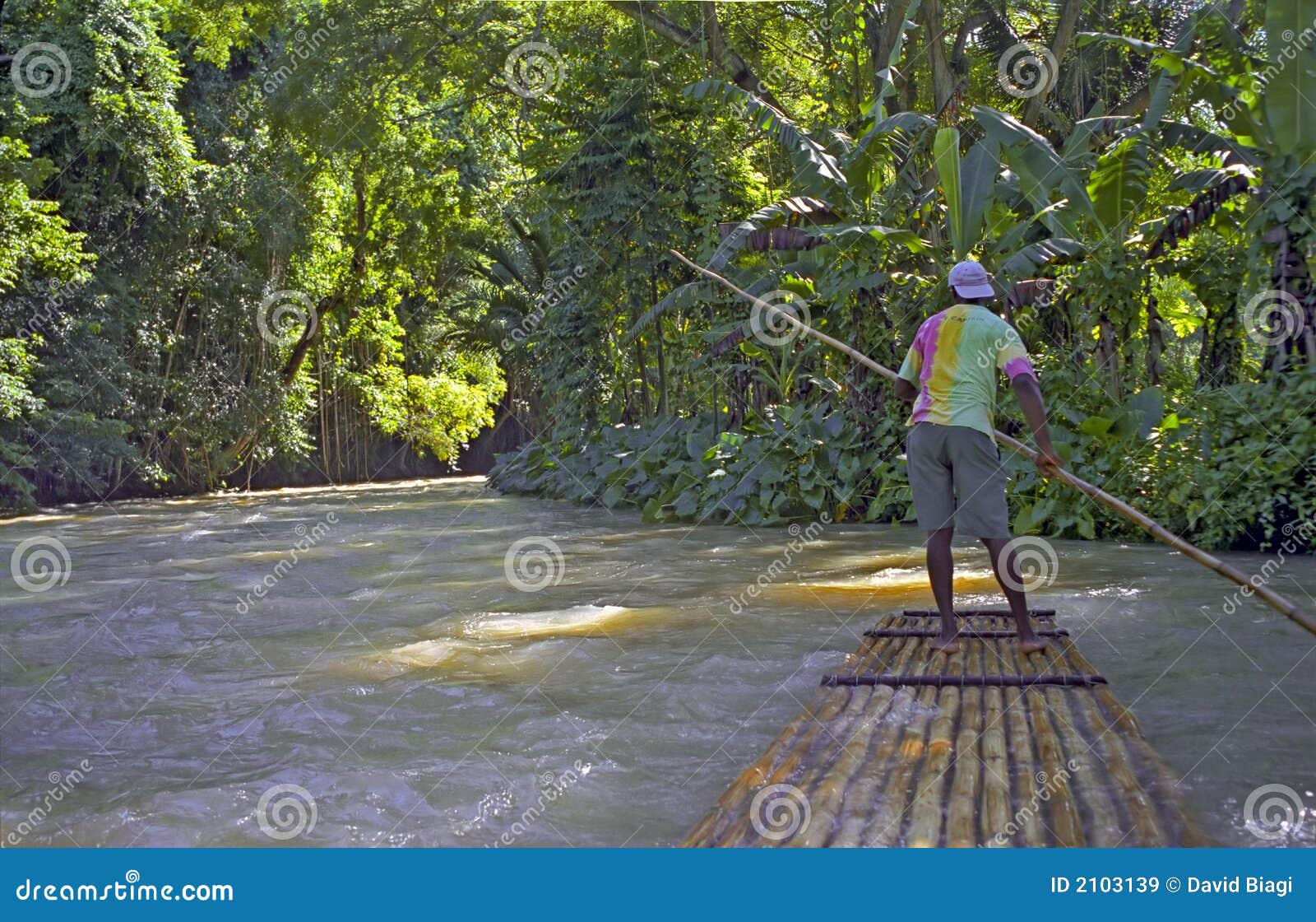 Raft Captain on River - Ochos Rios Stock Image - Image of jungle, water ...