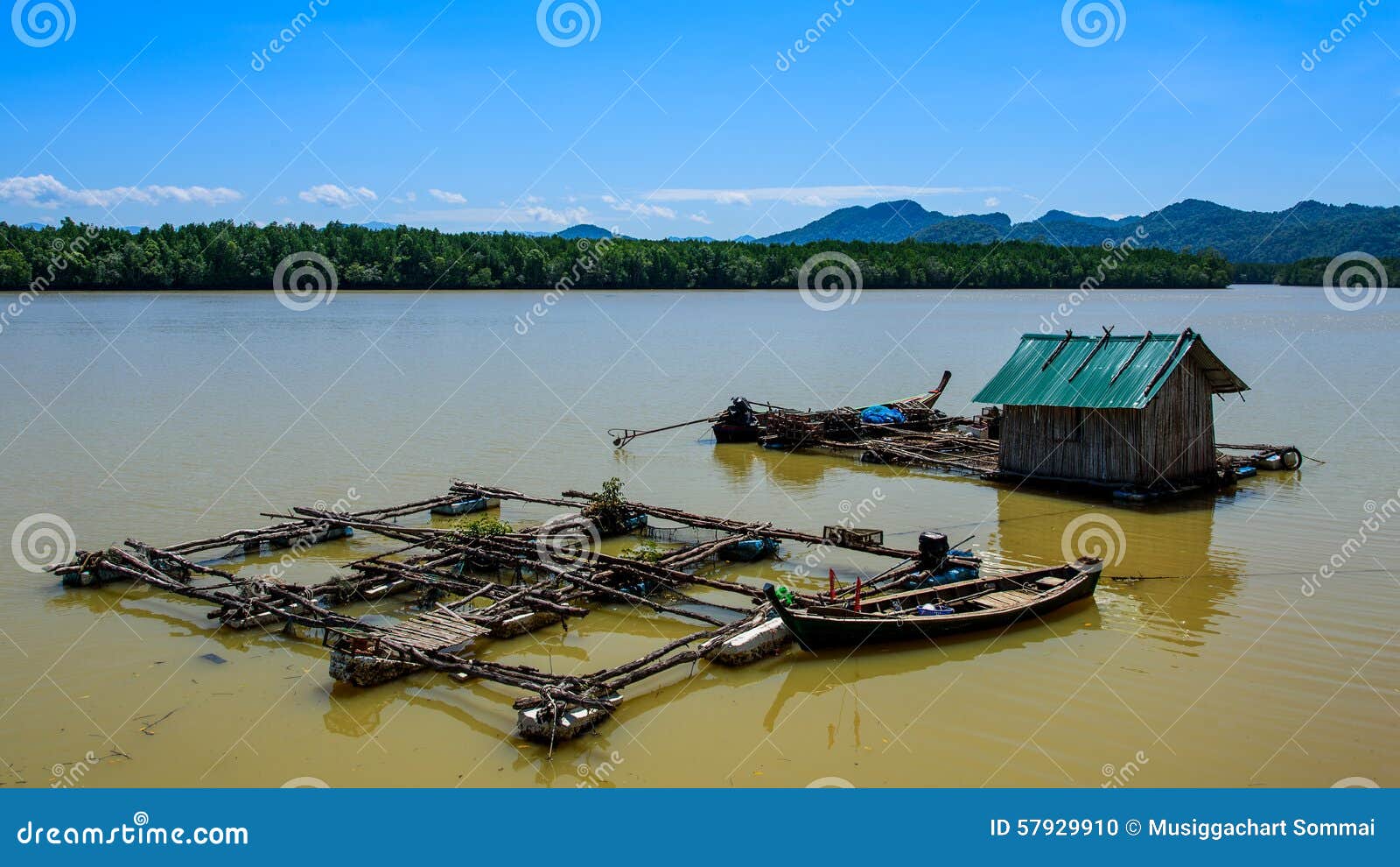 Raft freshwater fish stock photo. Image of float, cages - 57929910