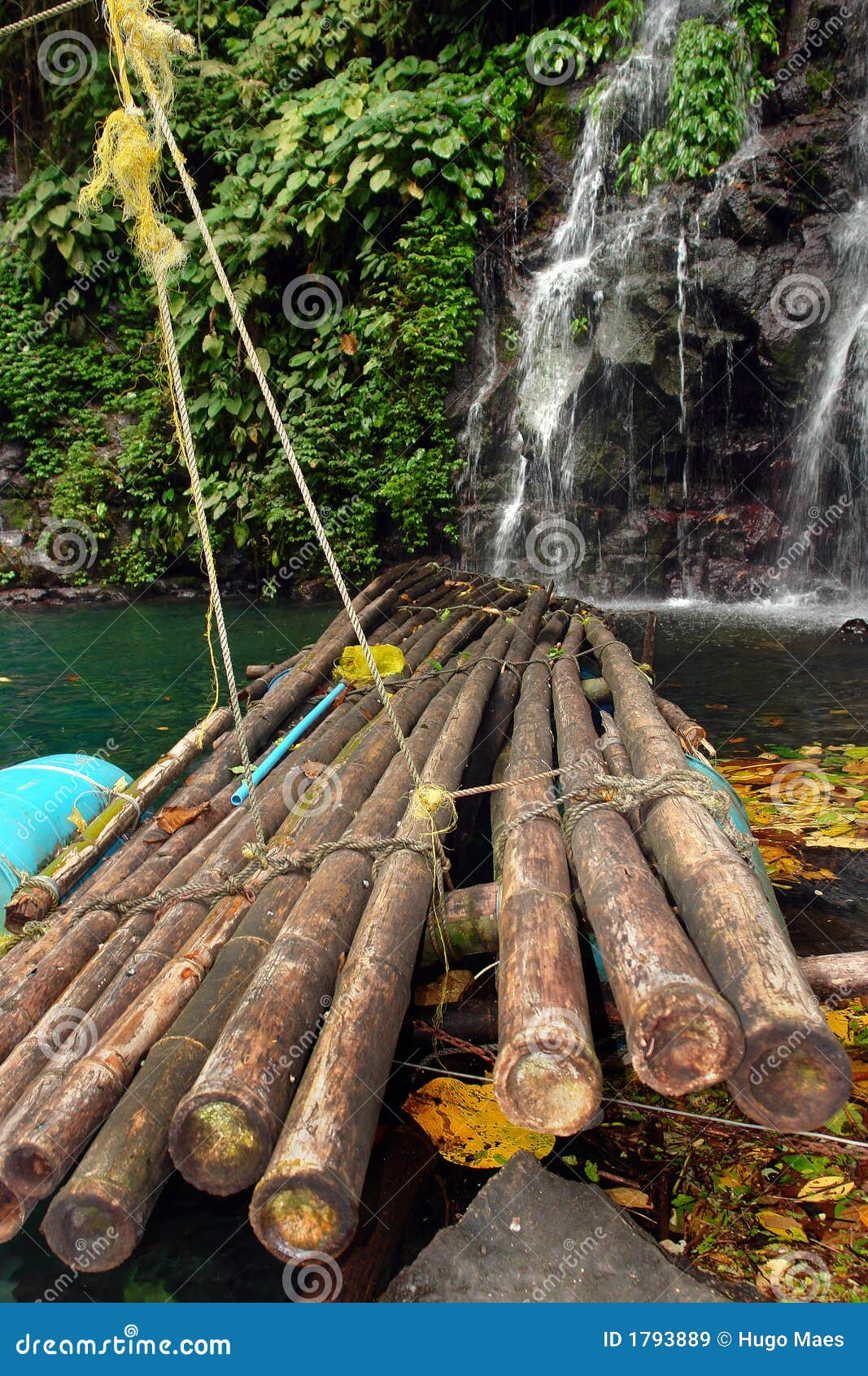 1,859 Raft Jungle Stock Photos - Free & Royalty-Free Stock Photos from ...