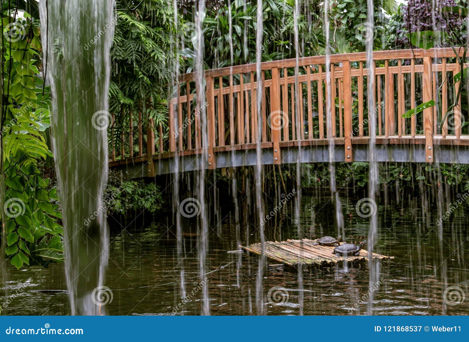 Turtles on a raft stock image. Image of reptiles, nature - 121868537