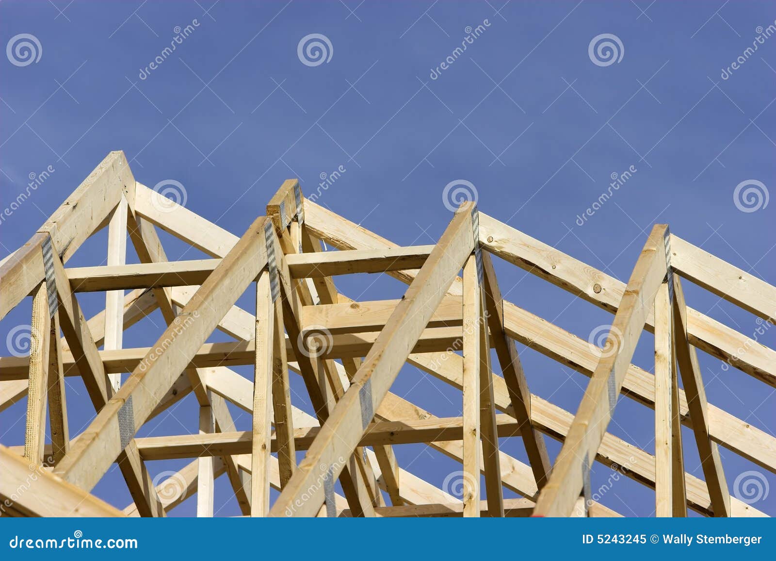 Rafters Picture. Image: 5243245