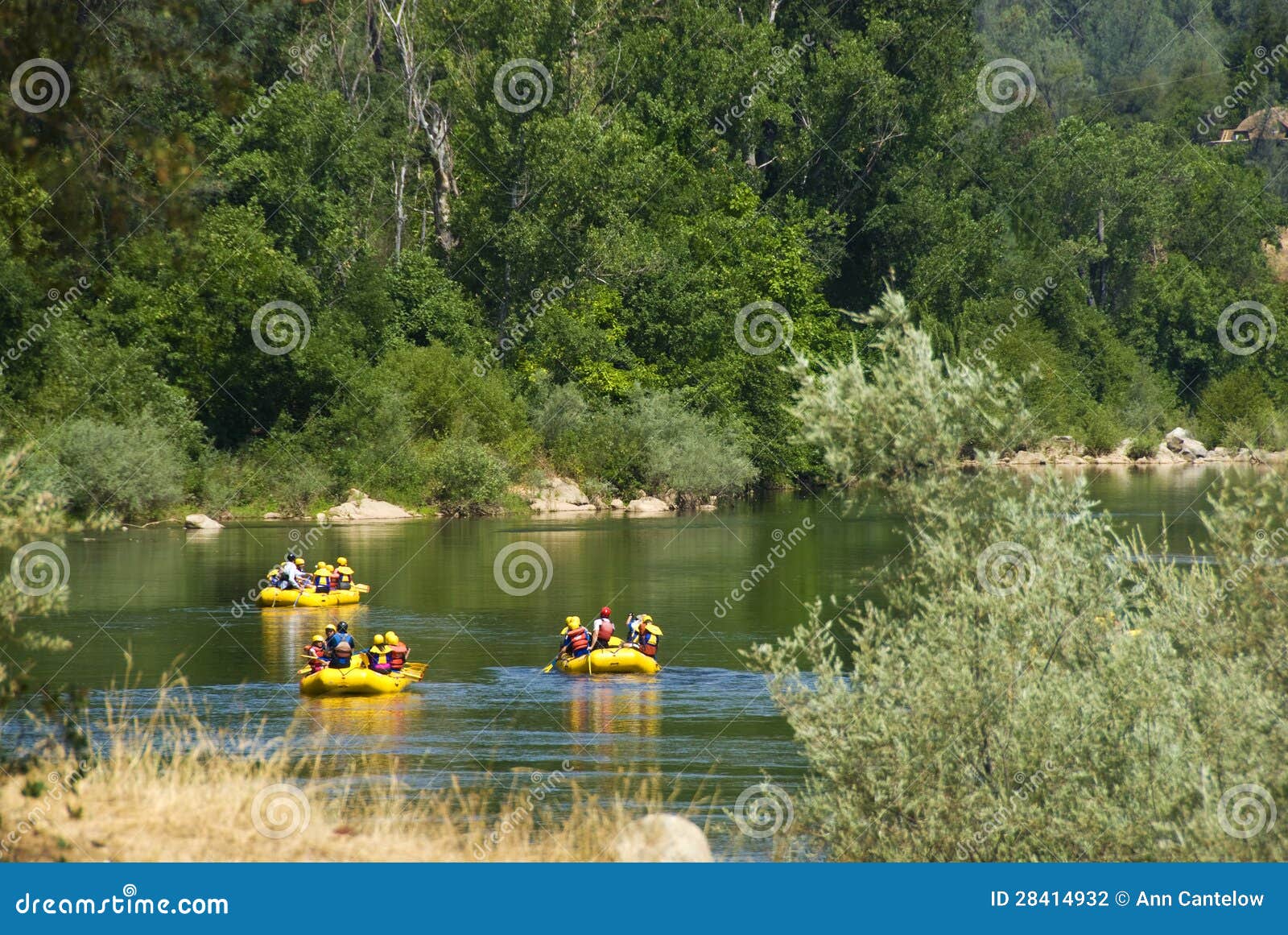 Rafters on the American River Stock Photo - Image of water, still: 28414932