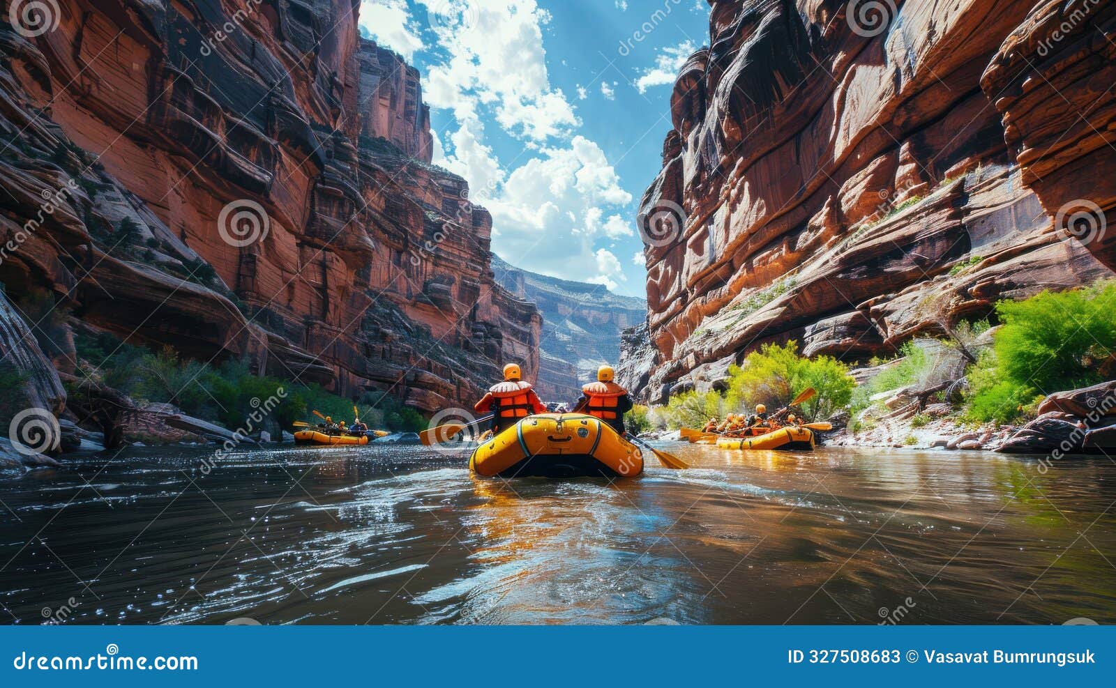 Rafters Navigating through a Canyon River Stock Illustration ...