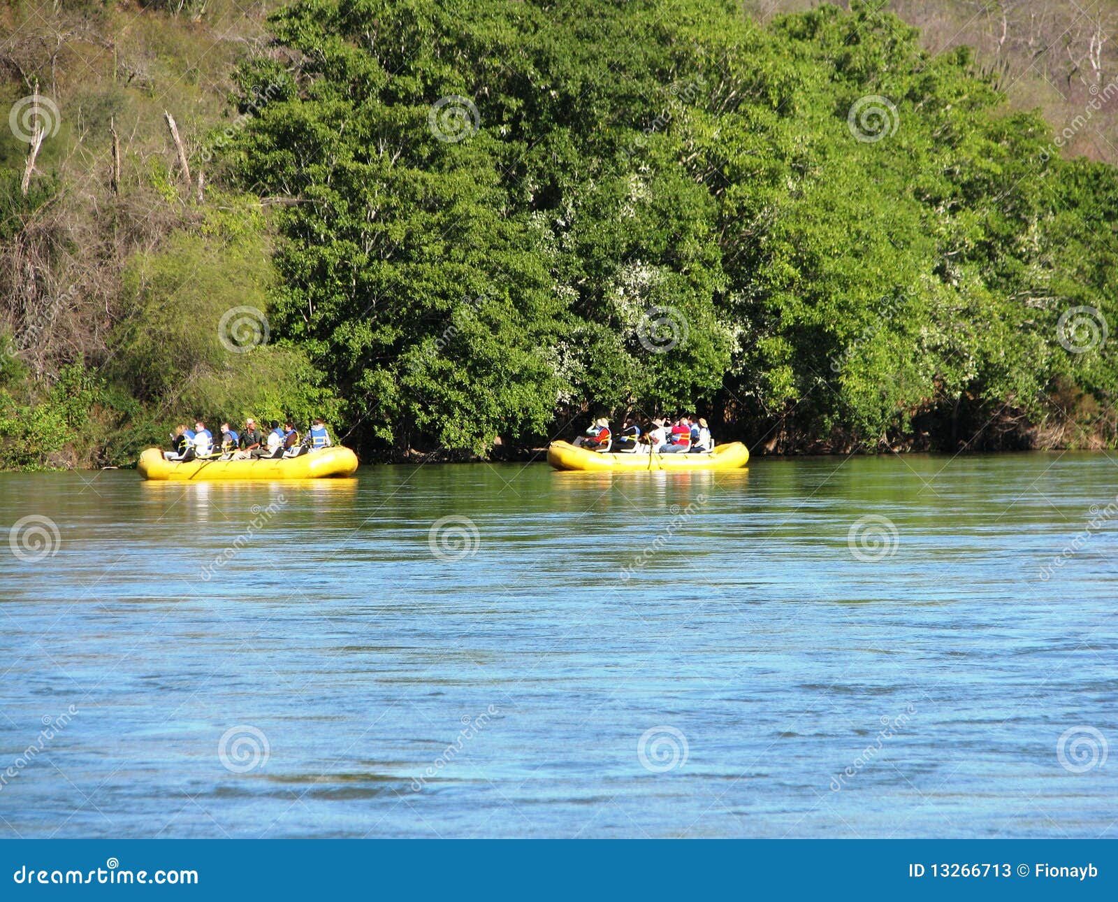 Rafting in El Fuerte stock image. Image of landscape - 13266713