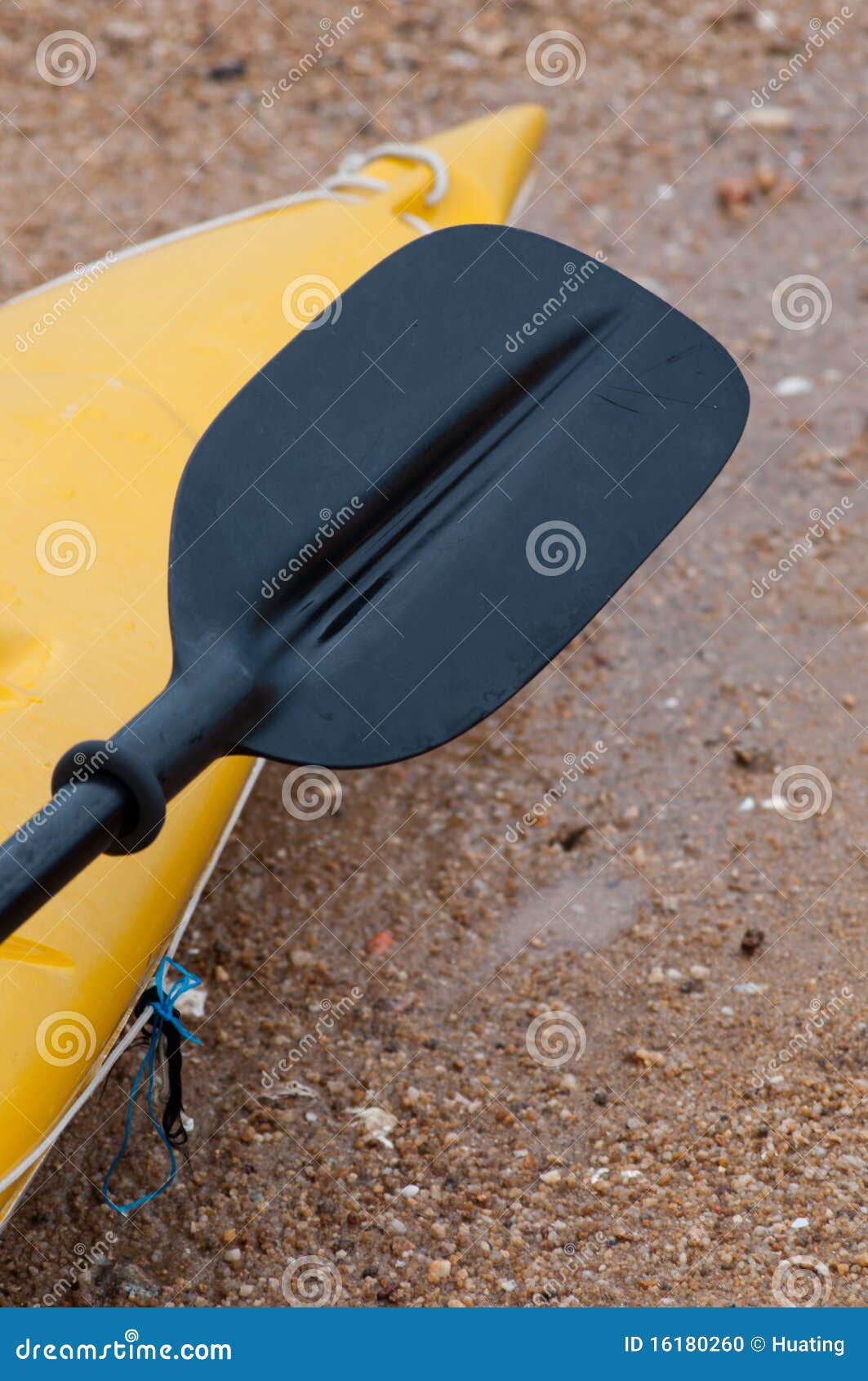 Rafting Paddles stock photo. Image of rapids, leaning - 16180260