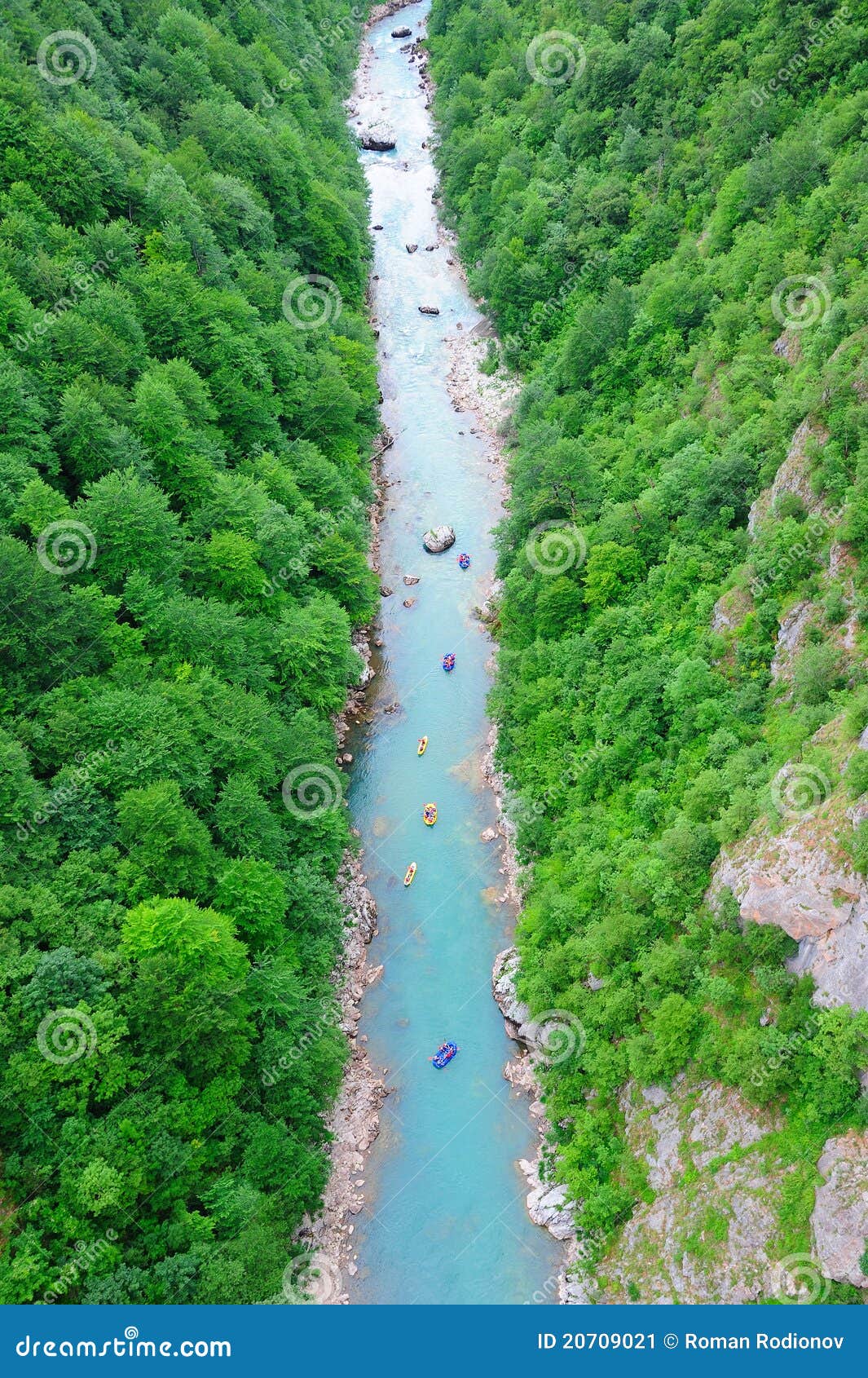 Rafting on the River Tara in Montenegro Stock Image - Image of drift ...