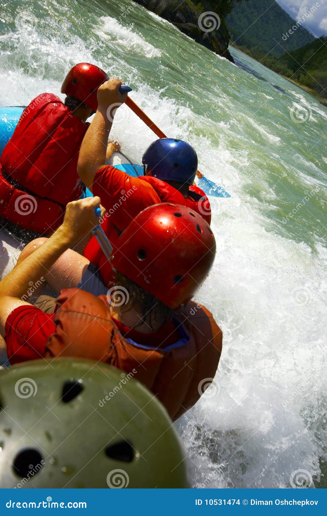 Rafting team close-up stock photo. Image of muscular - 10531474