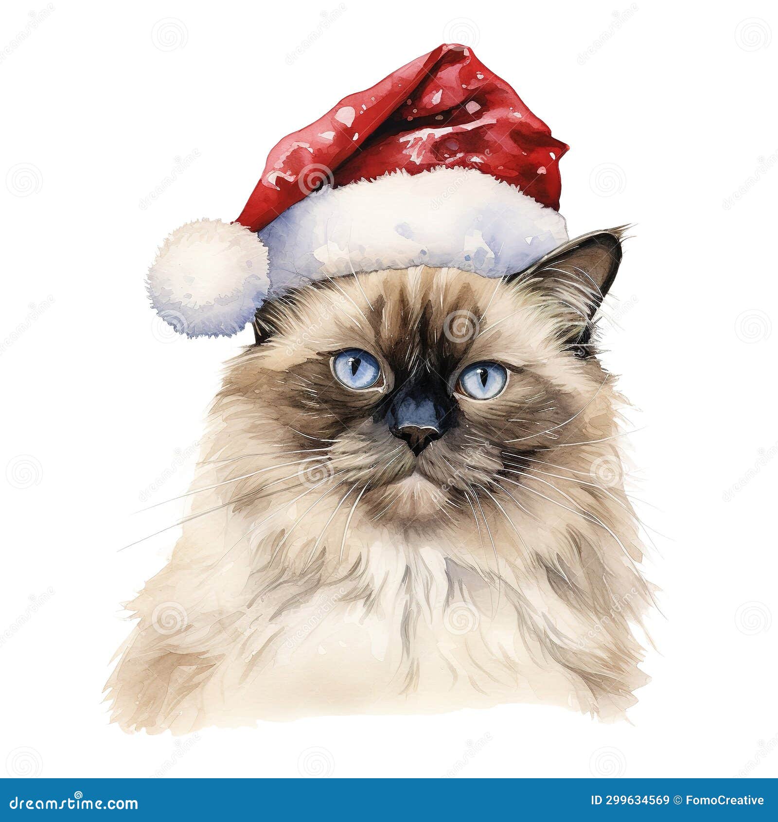 Ragdoll Cat Wearing a Santa Hat Stock Illustration - Illustration of ...