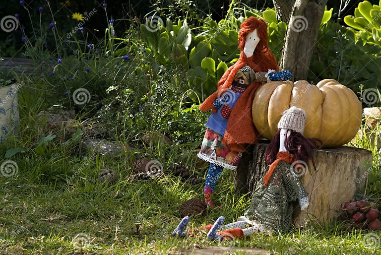 Ragdolls with pumpkin stock image. Image of orange, smiling - 4171827