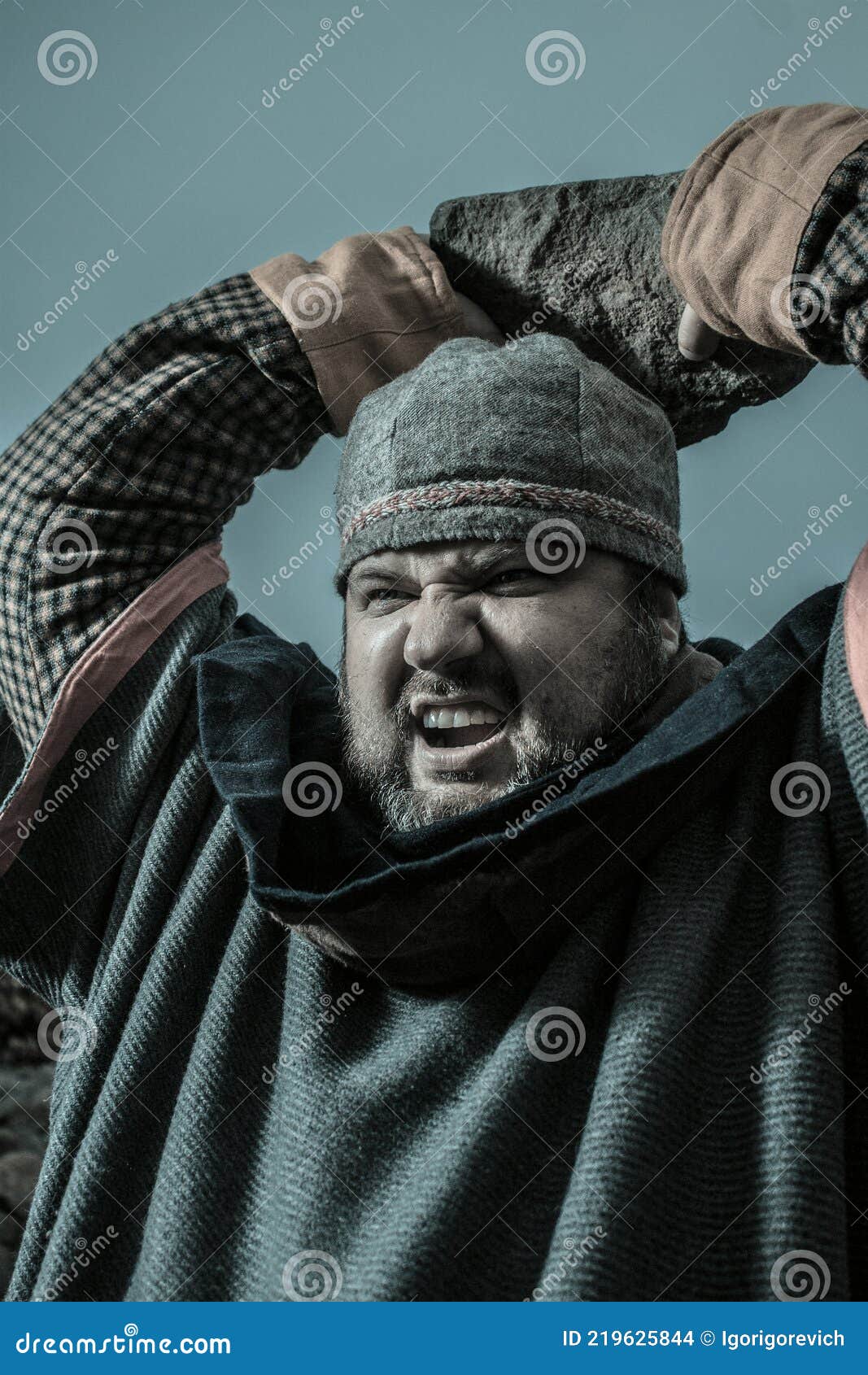 Rage of the viking stock photo. Image of boulder, north - 219625844